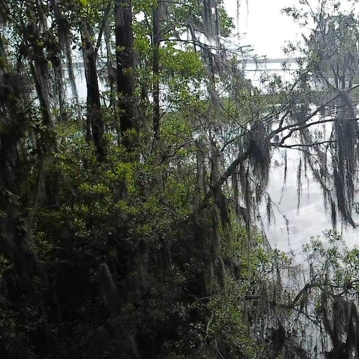 Ocean Pond Campground | Sanderson, FL
