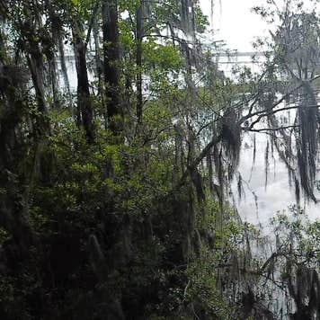 Ocean Pond Campground | Olustee, Florida