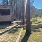 Sand Pond Campground - Pine Log State Forest | Ebro, Florida