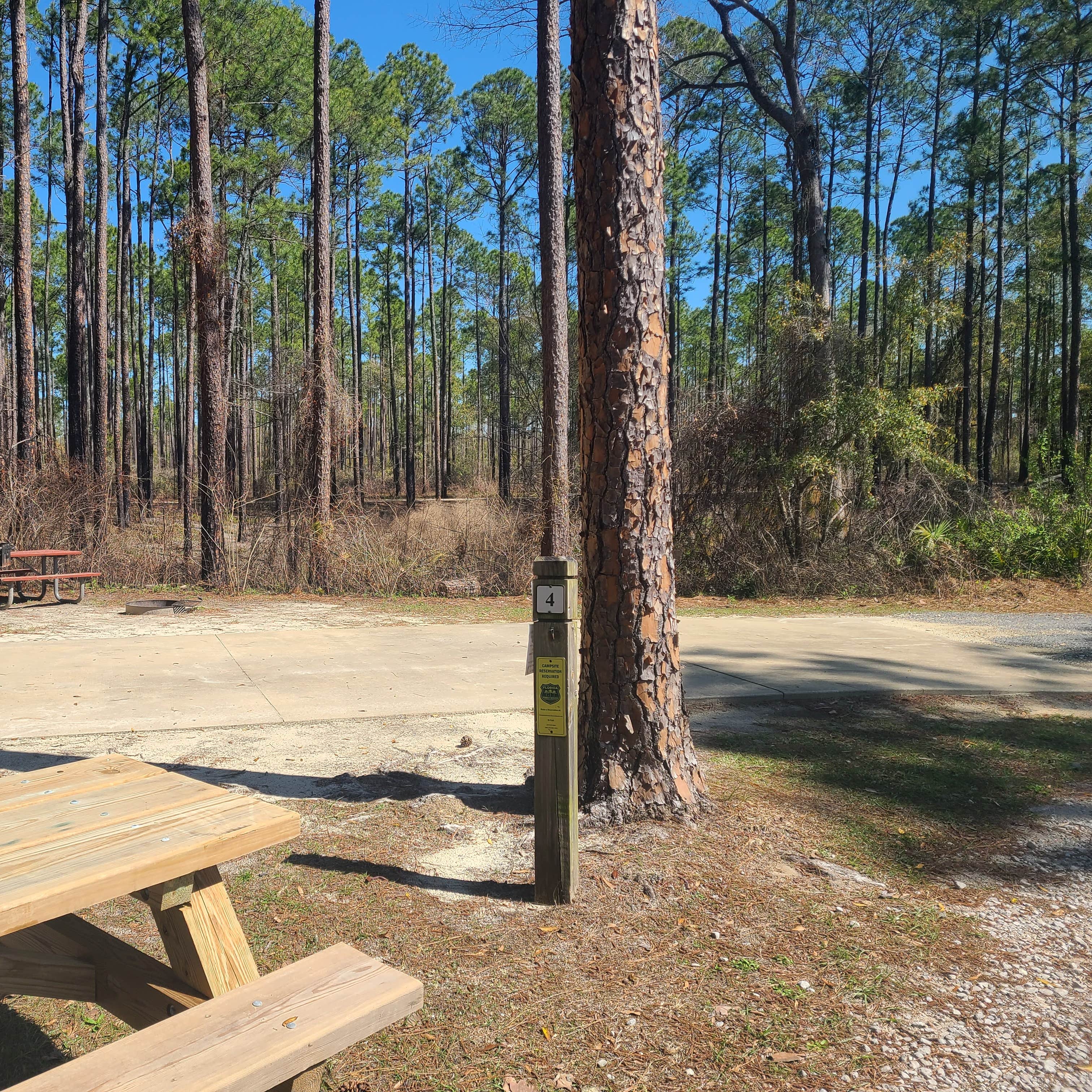 Sand Pond Campground — Pine Log State Forest | Ebro, Florida