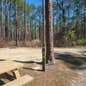 Sand Pond Campground — Pine Log State Forest | Ebro, Florida