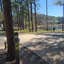 Sand Pond Campground — Pine Log State Forest | Ebro, Florida