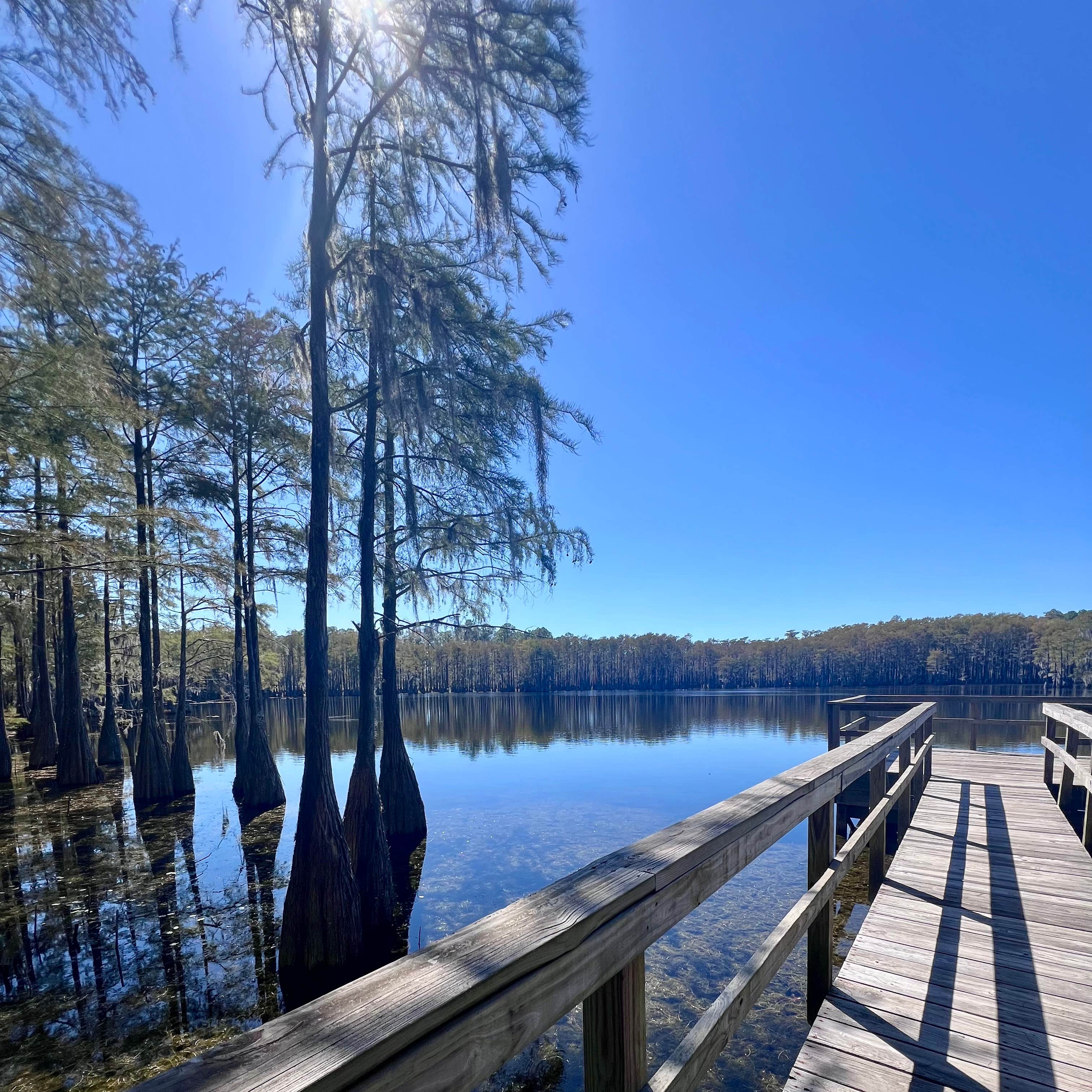 Sand Pond Campground - Pine Log State Forest | Ebro, Florida