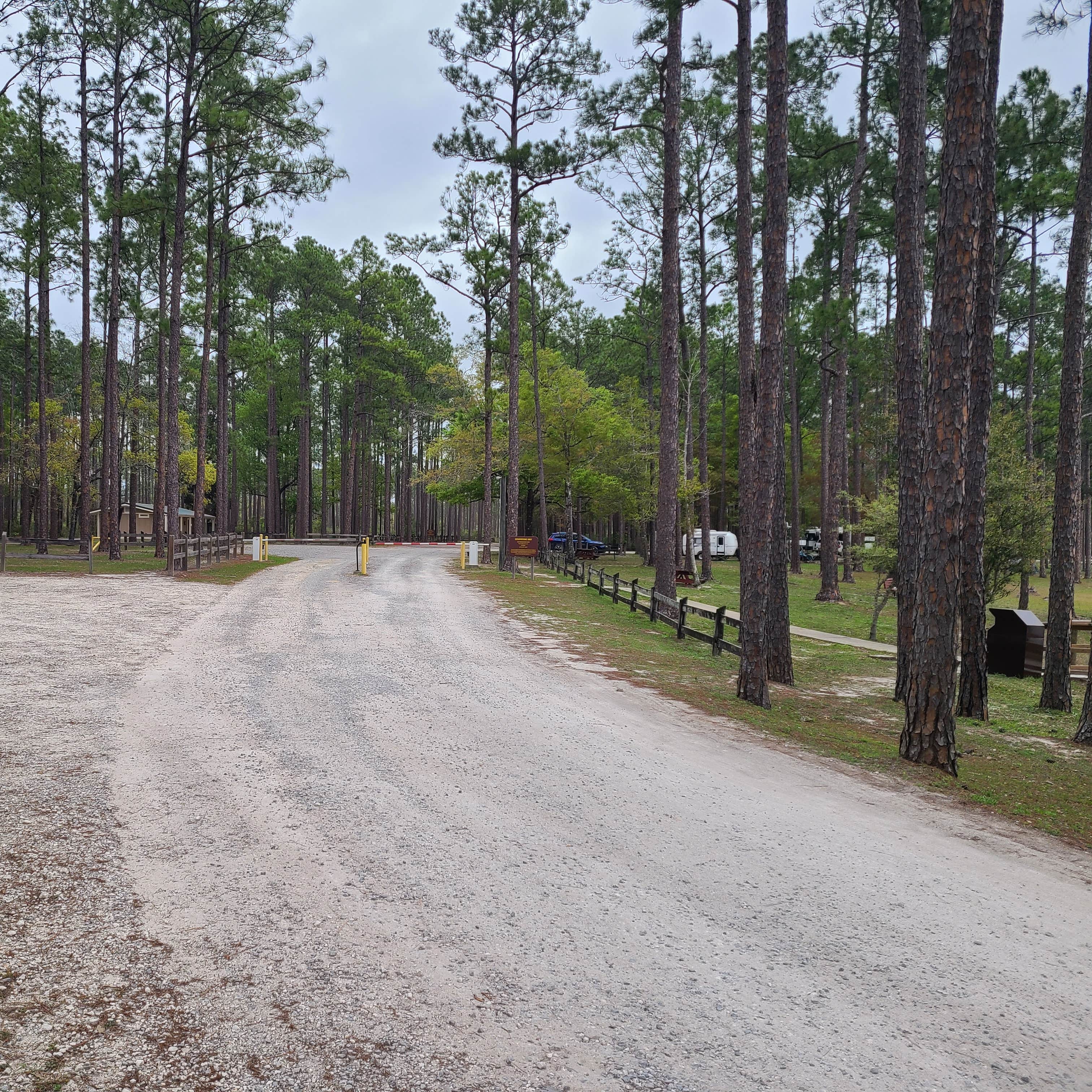 Sand Pond Campground - Pine Log State Forest | Ebro, Florida