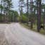 Sand Pond Campground - Pine Log State Forest | Ebro, Florida