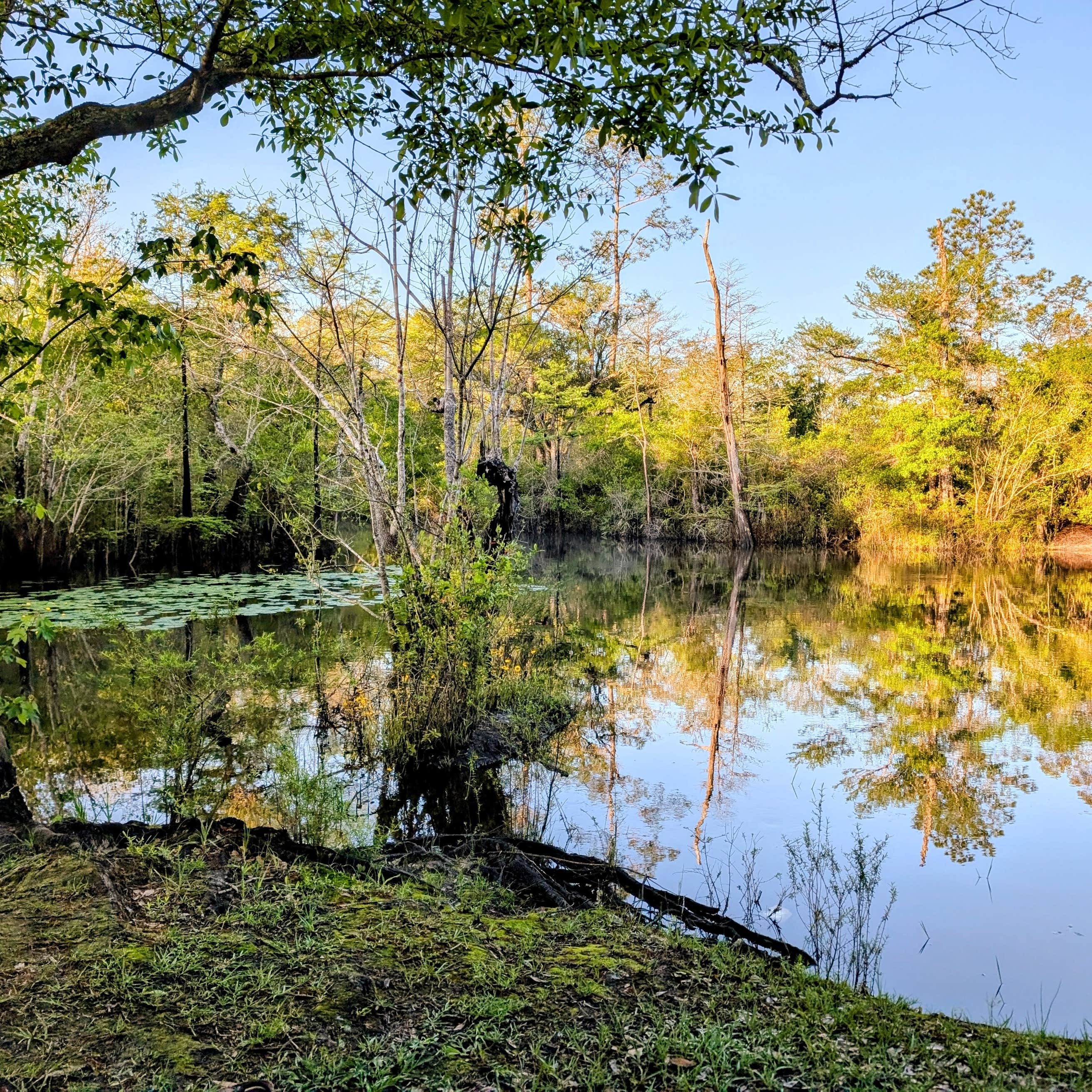 Sand Pond Campground — Pine Log State Forest | Ebro, Florida