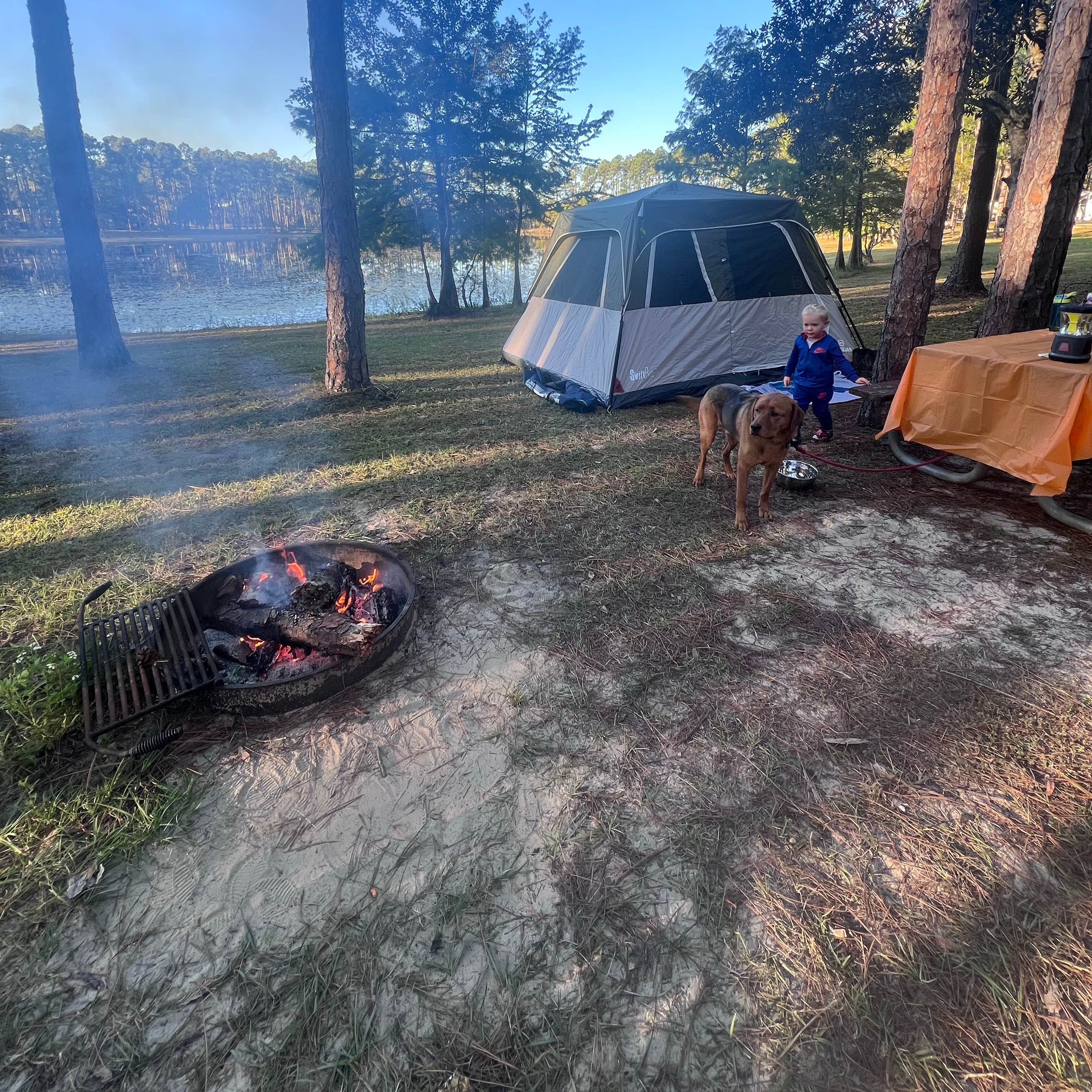 Sand Pond Campground - Pine Log State Forest | Ebro, Florida