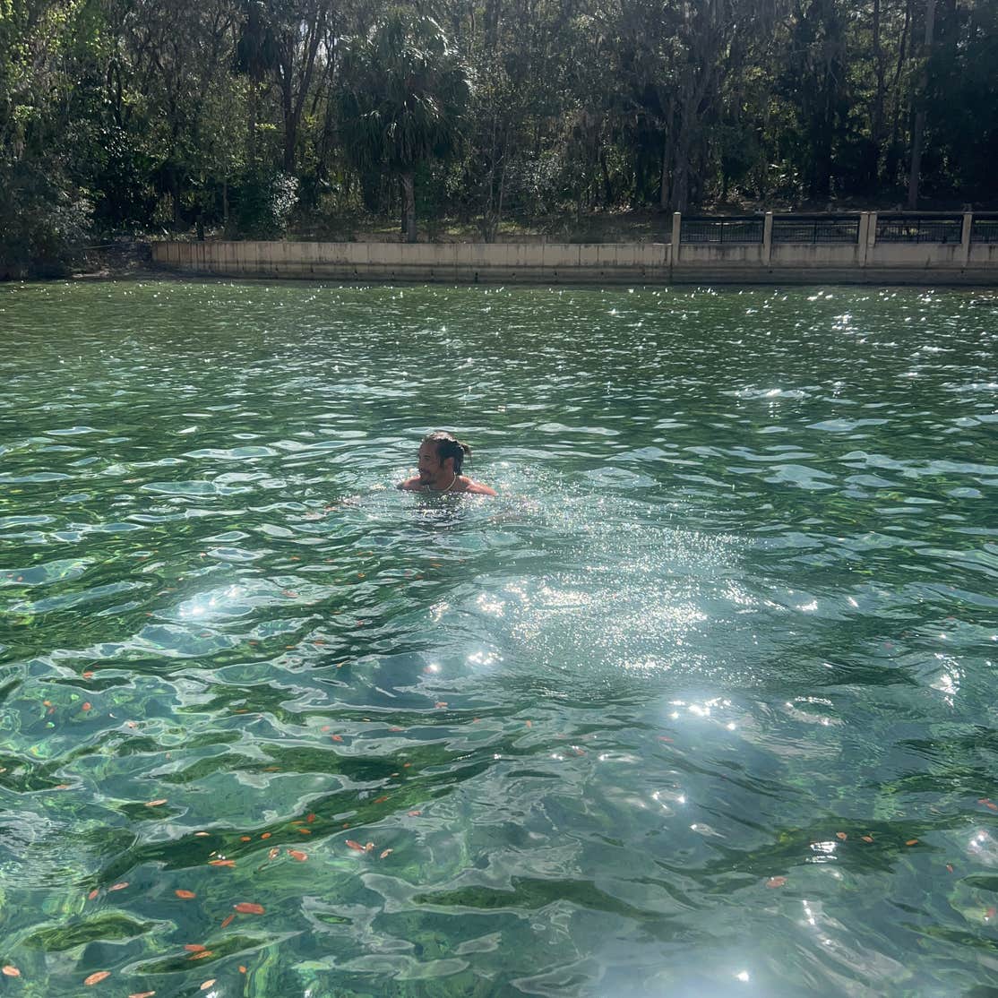 Salt Springs Recreation Area Camping | Salt Springs, Florida