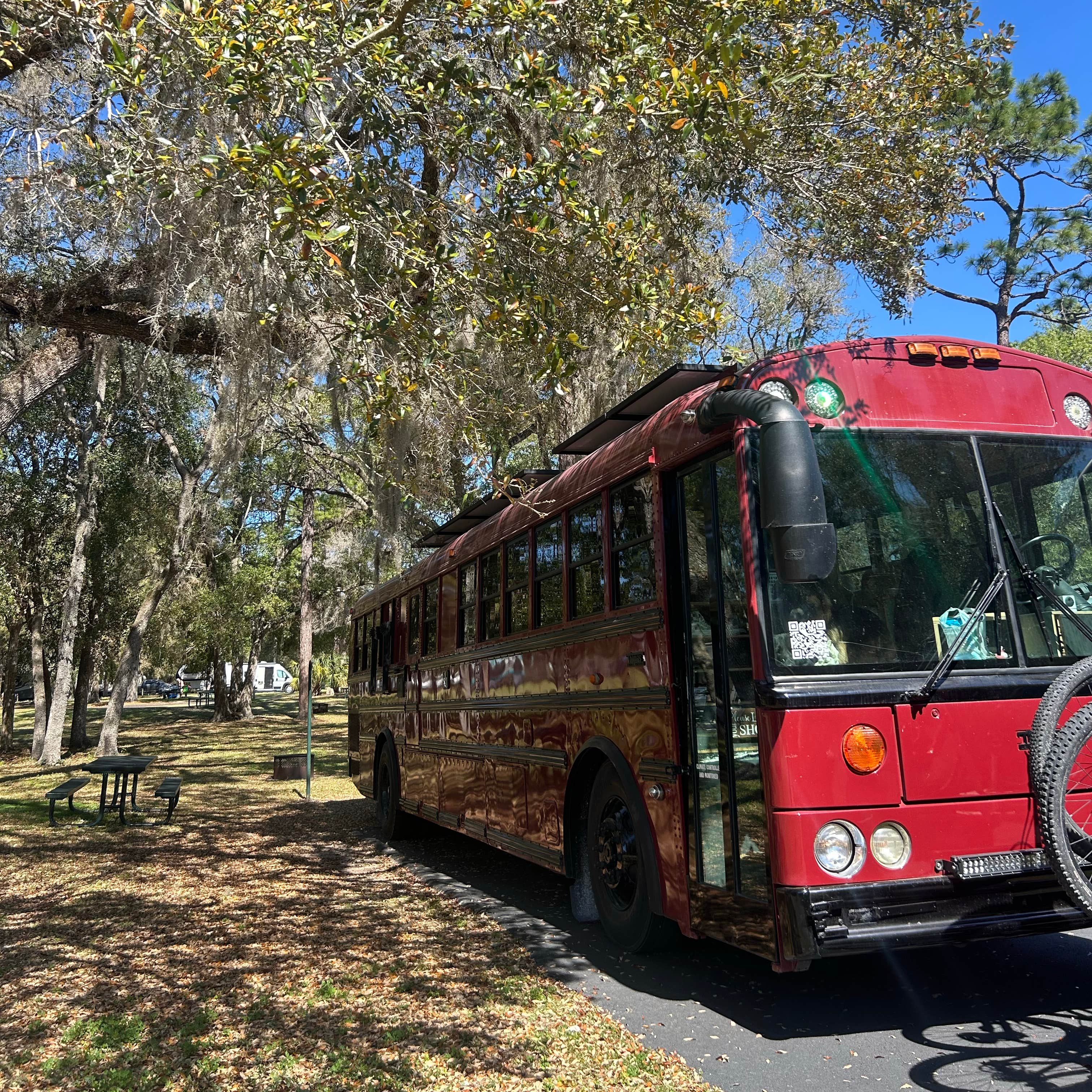 Salt Springs Recreation Area Camping | Salt Springs, Florida