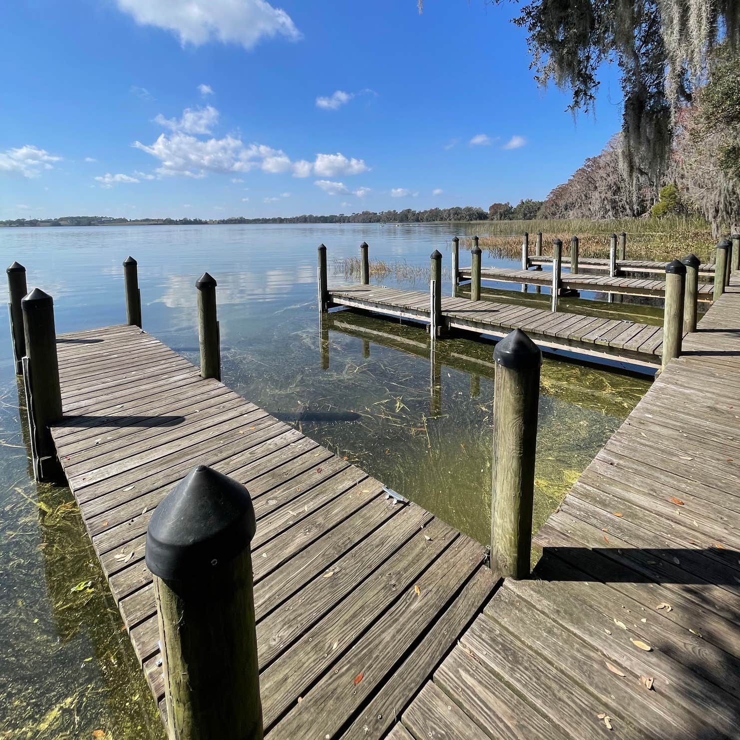 Trimble Park Campground | Mount Dora, Florida