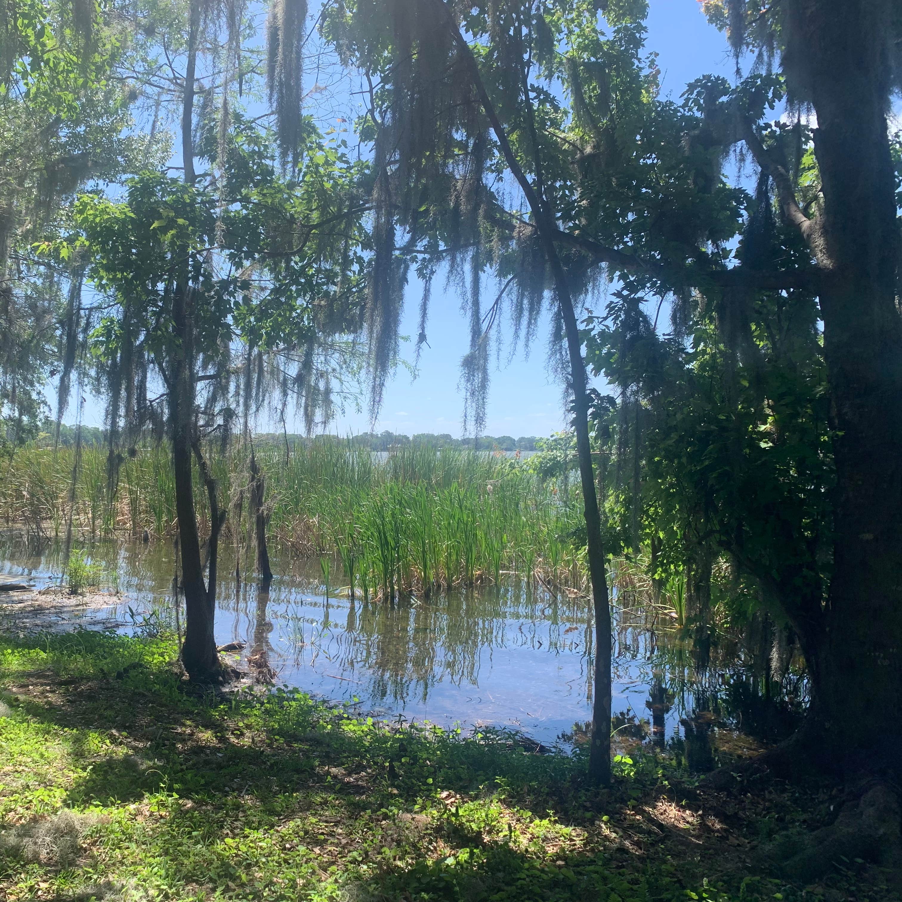 Trimble Park Campground | Mount Dora, Florida