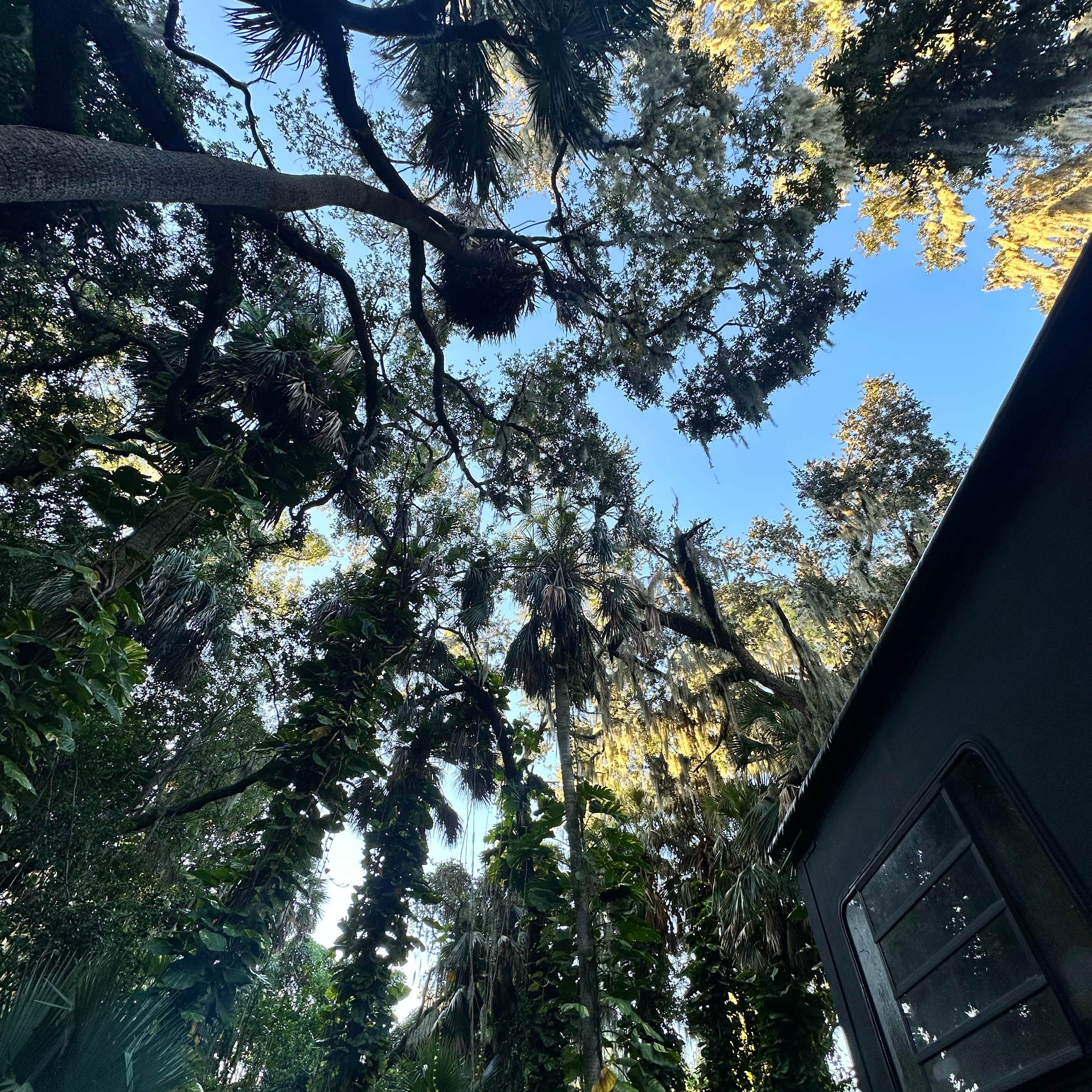 Trimble Park Campground | Mount Dora, Florida