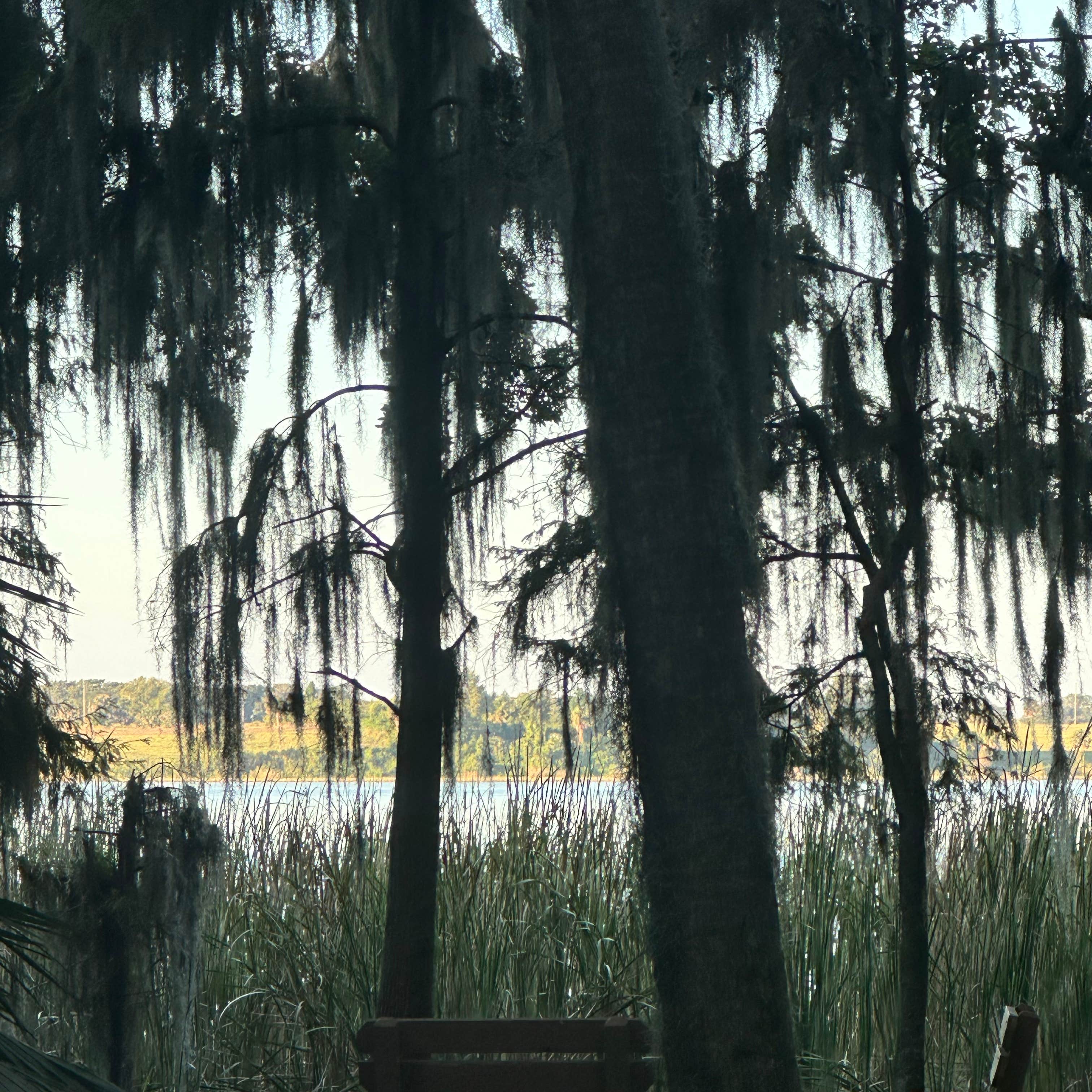 Trimble Park Campground | Mount Dora, Florida