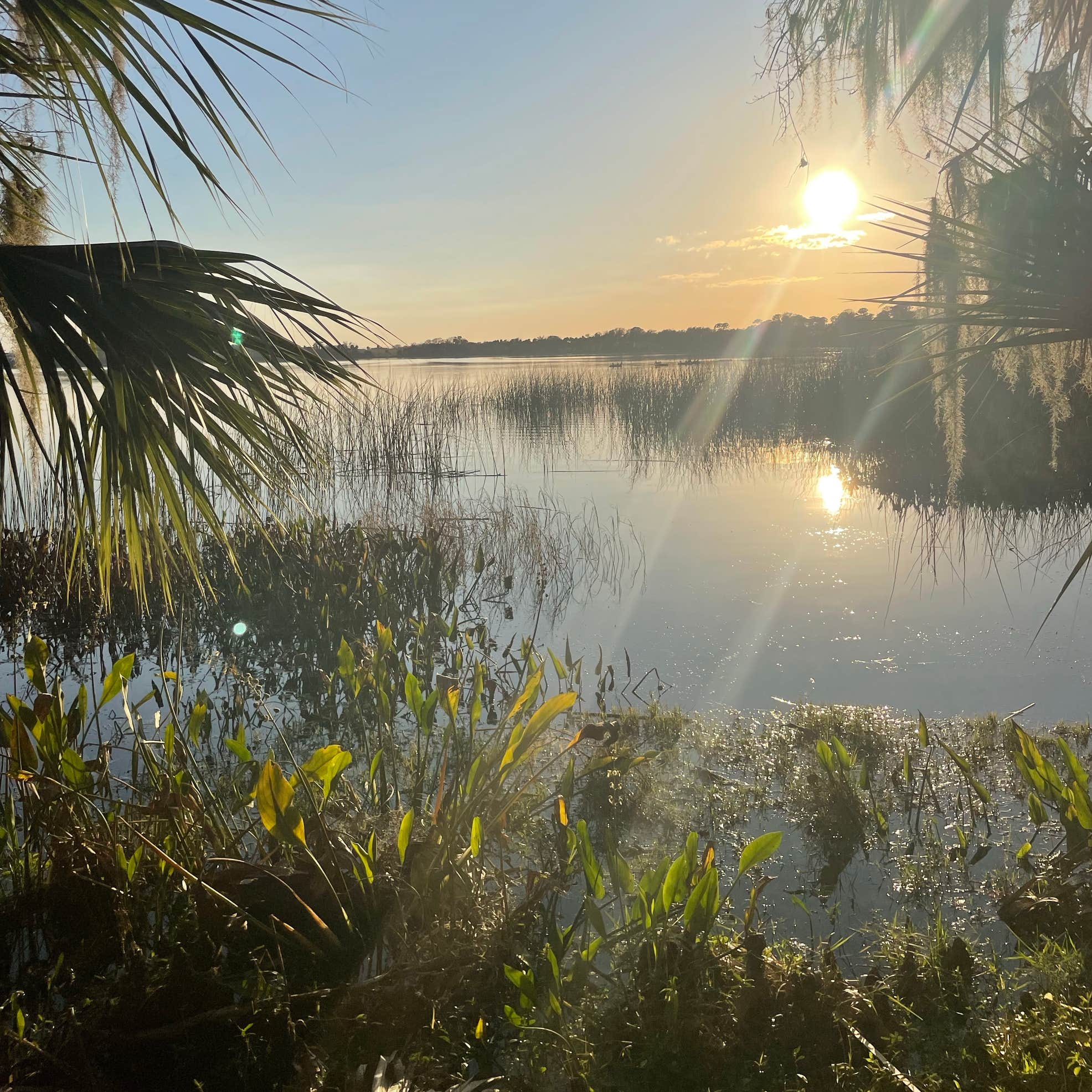 Trimble Park Campground | Mount Dora, Florida