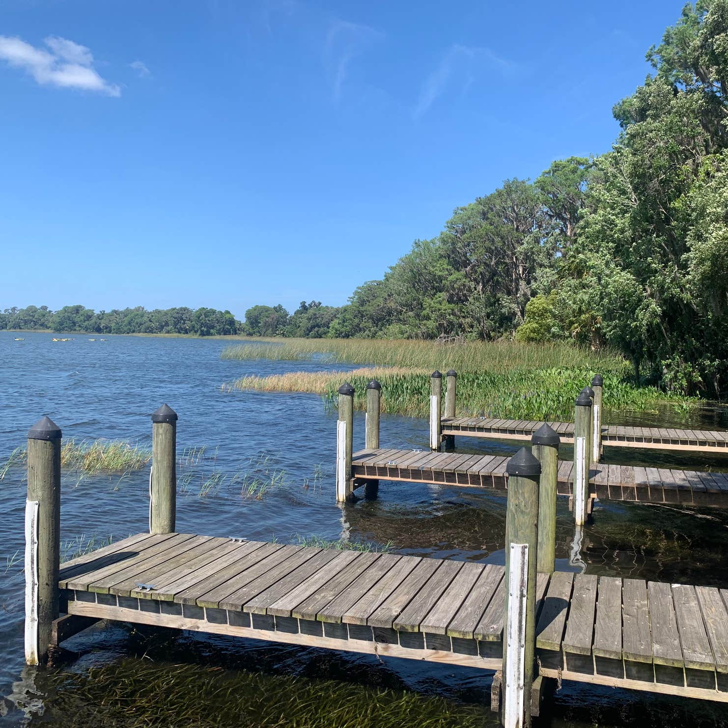 Trimble Park Campground | Mount Dora, Florida