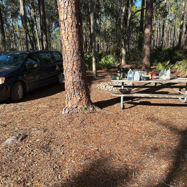 West Tower Hunt Camp | Osceola National Forest, Florida