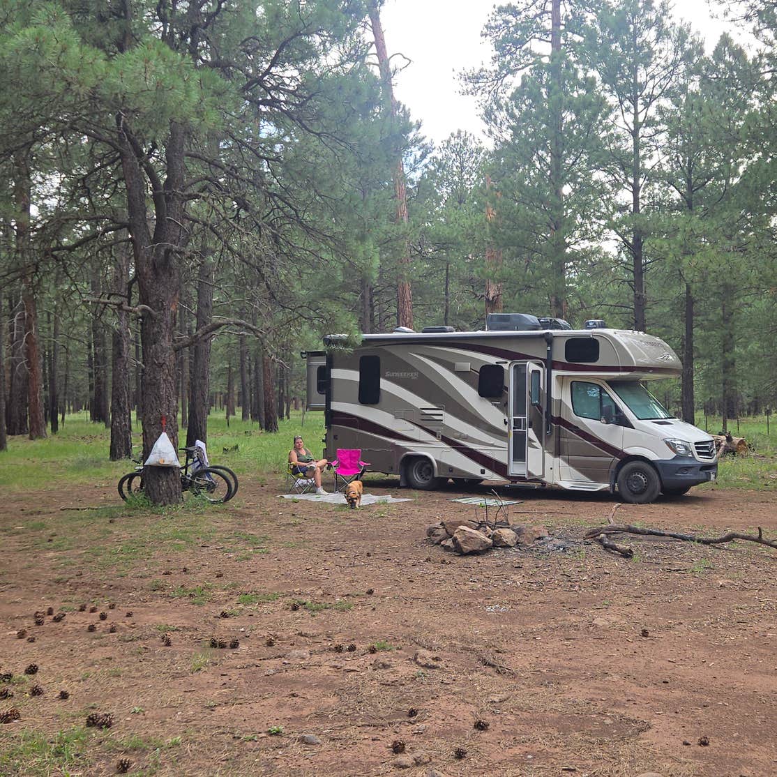 Forest Rd 91 Dispersed Camping | Mormon Lake, Arizona