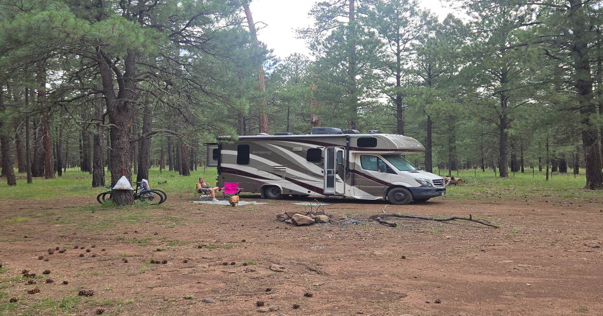 Forest Rd 91 Dispersed Camping | Mormon Lake, Arizona