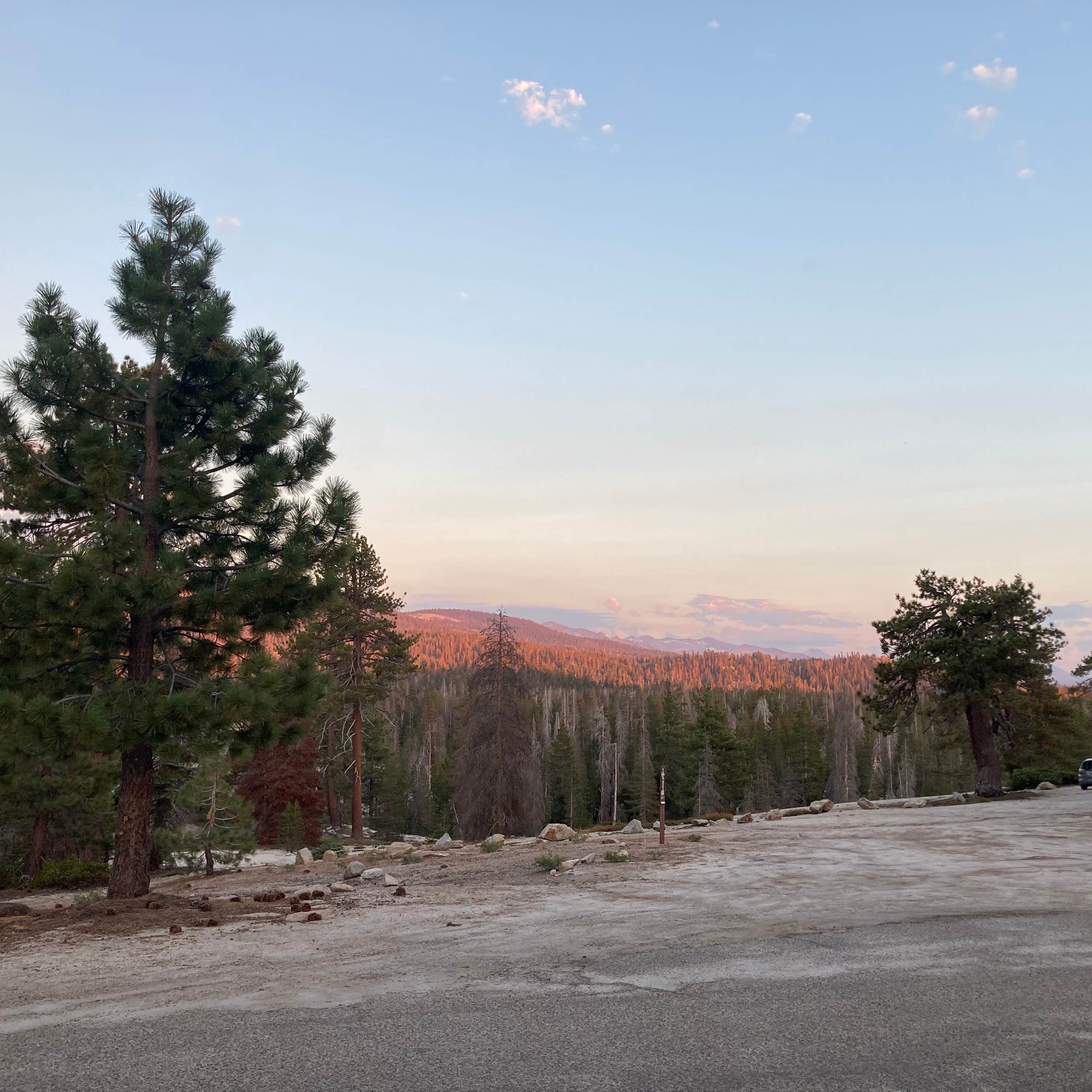 Forest Road 14S11 North Camp Camping | Wilsonia, CA | The Dyrt