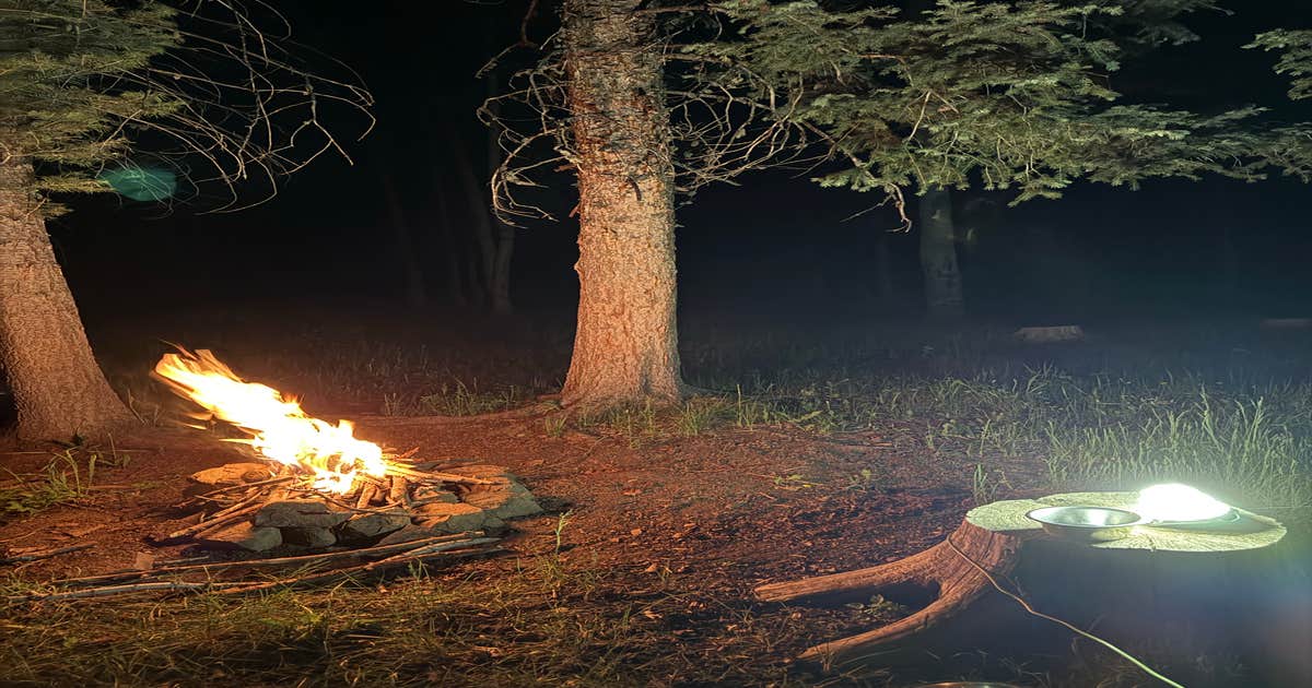 Forest Road 663 Camping | Chromo, Colorado
