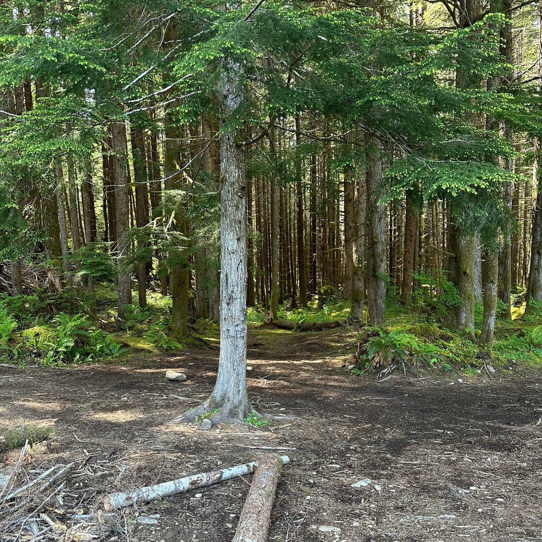Forest Service Road 2918 Dispersed Camping | Sol Duc Hot Springs ...