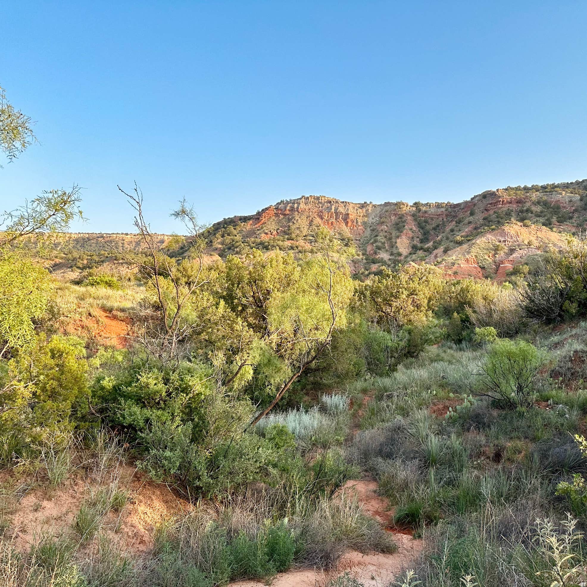 Fortress Cliff Primitive — Palo Duro Canyon State Park Camping | Canyon, TX
