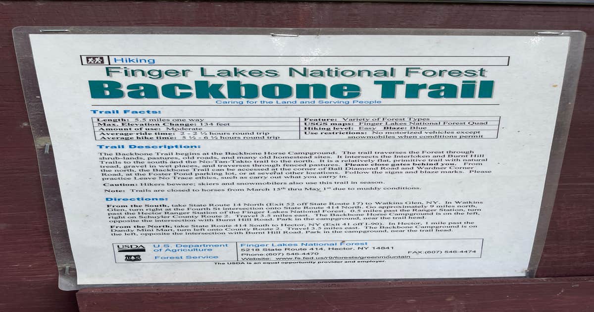 Foster Pond Camping Area | Hector, New York