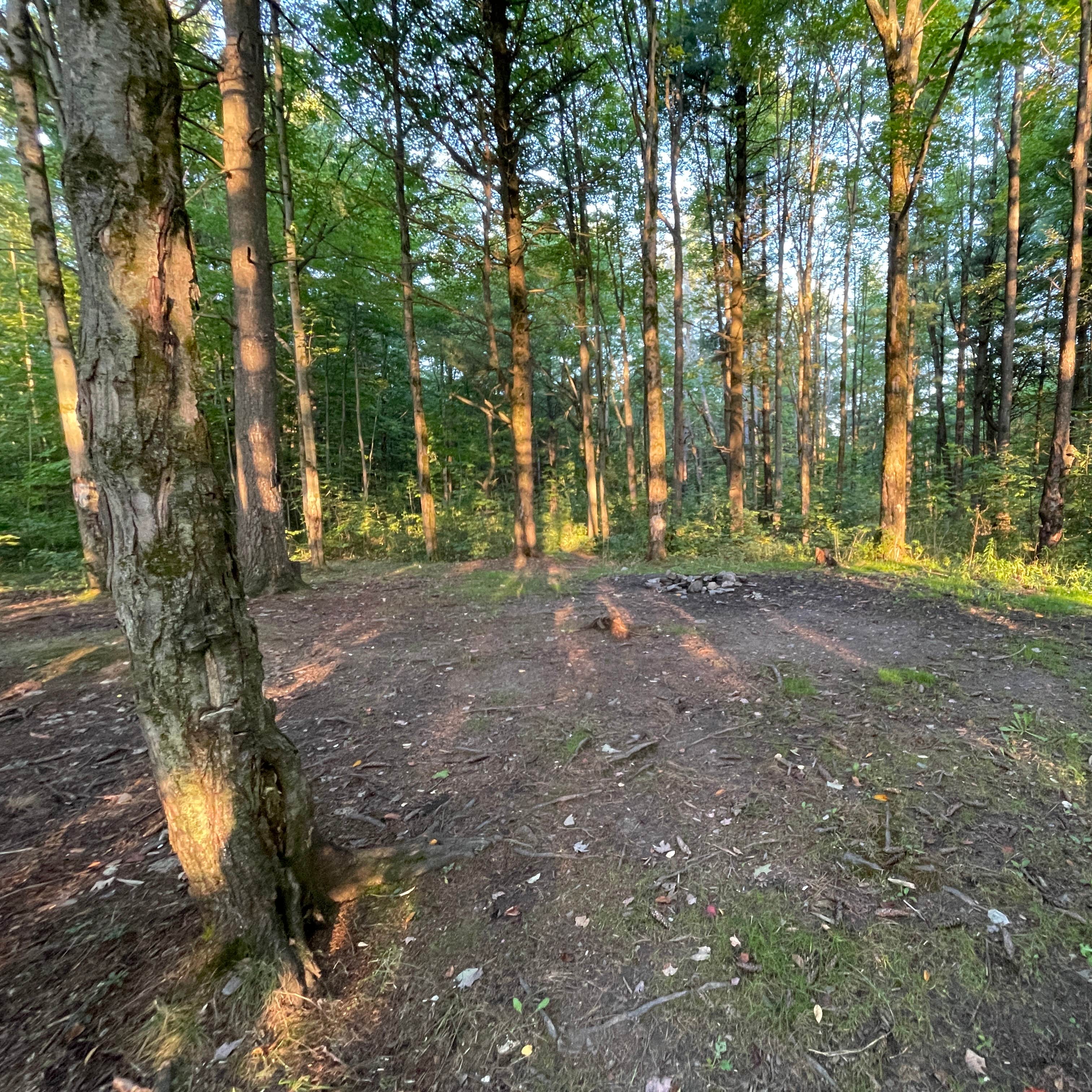 Foster Pond Camping Area | Hector, New York