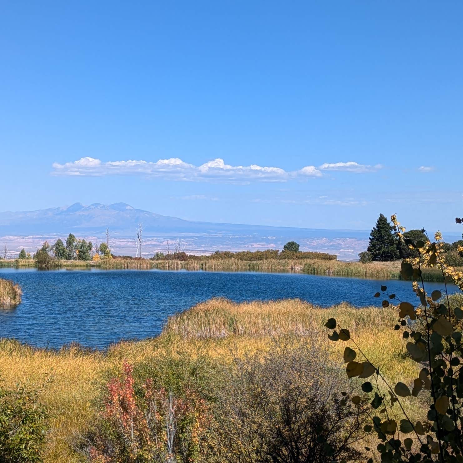Foy Lake Rd Fishing/Camping Site | Monticello, Utah