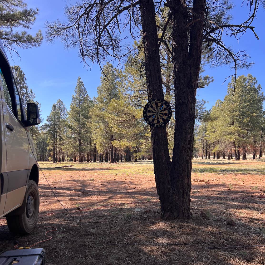 FR 245 - Dispersed Camping | Bellemont, Arizona