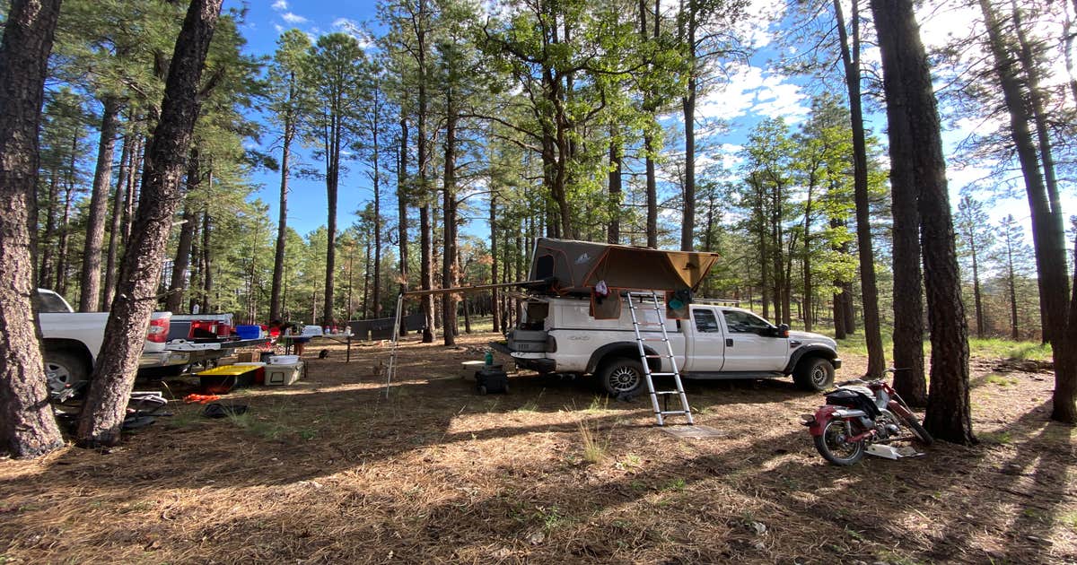 FR95 Dispersed Camping | Pine, Arizona