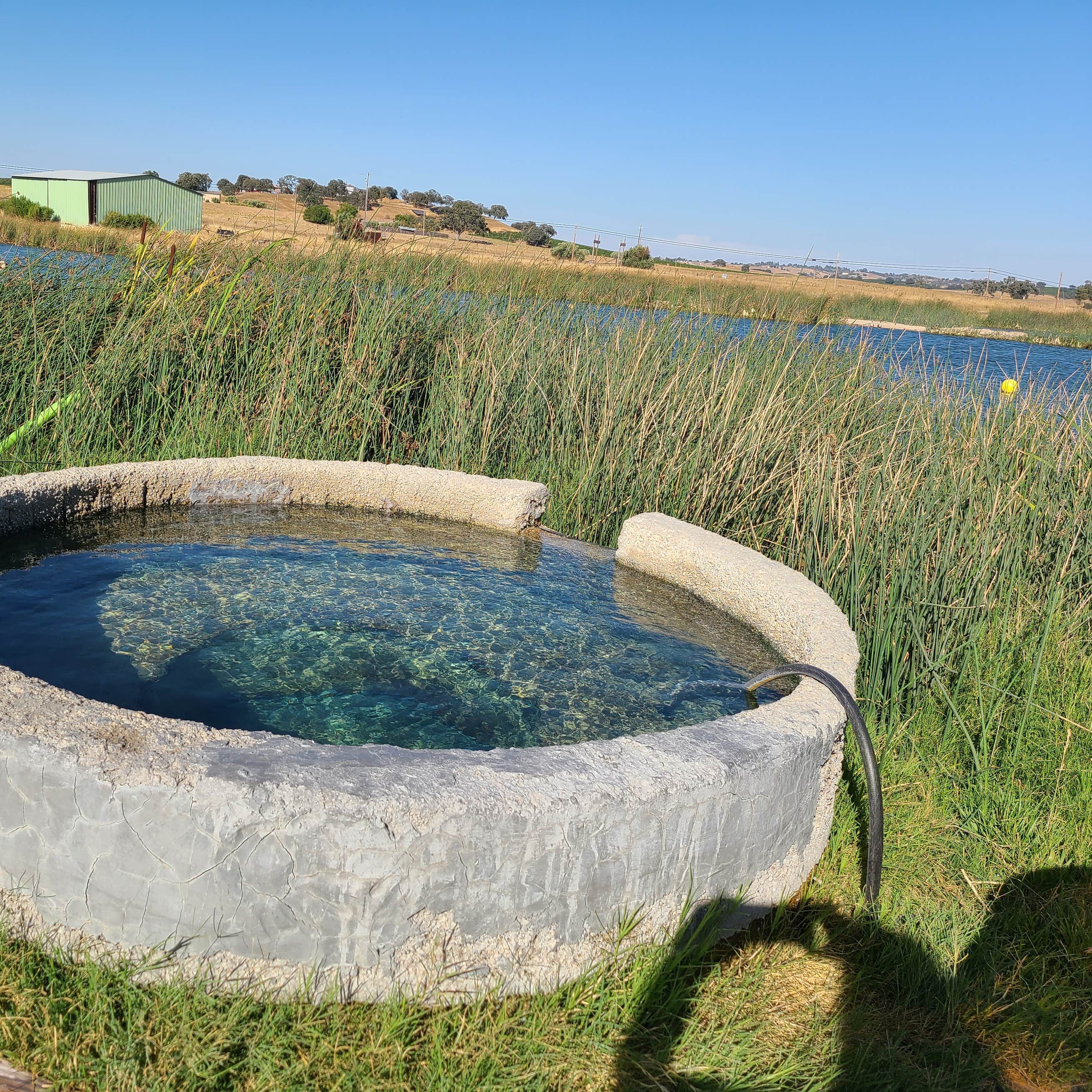 Franklin Hot Springs Camping | Paso Robles, CA