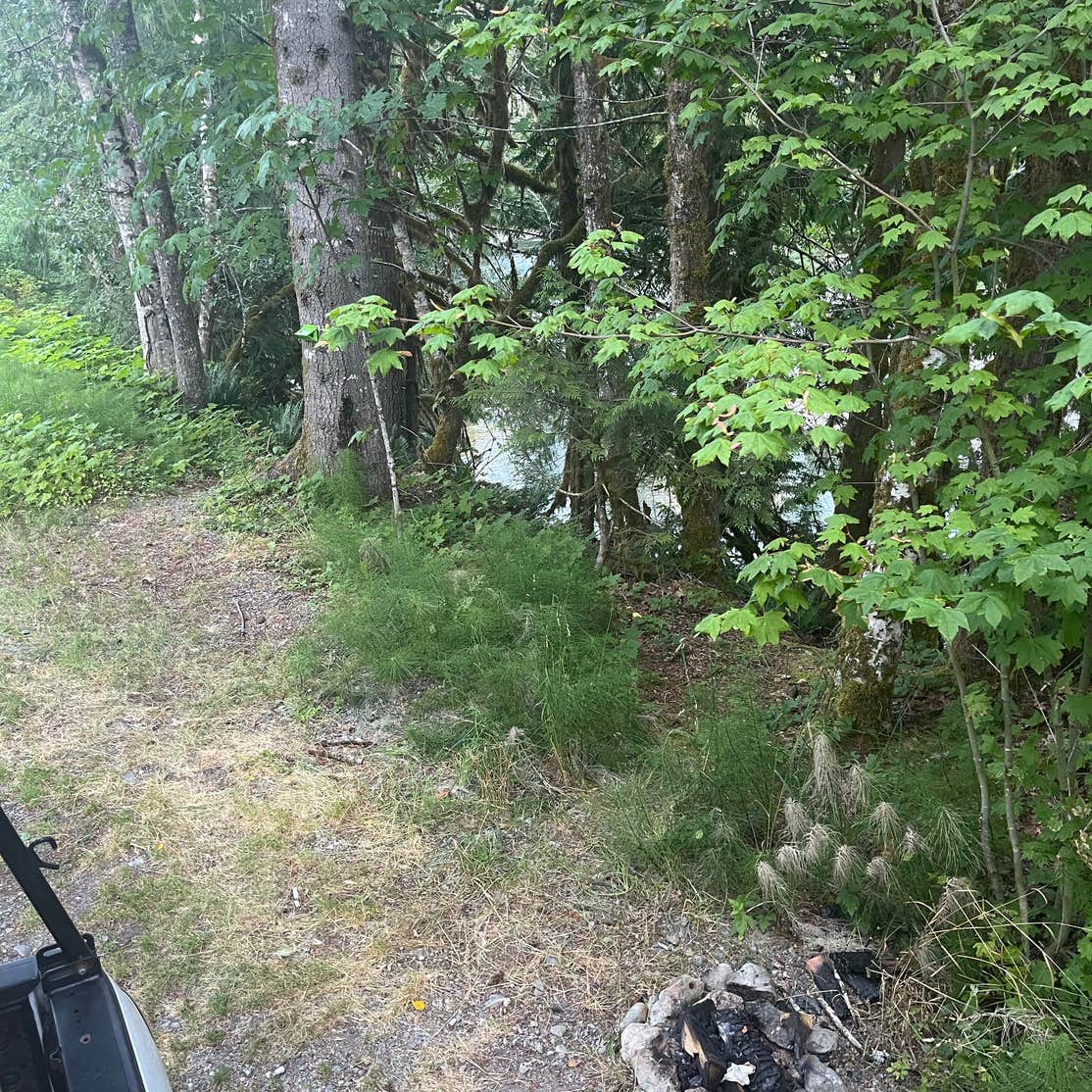 Mountain Loop Hway Dispersed Camp | Mt. Baker-Snoqualmie National ...