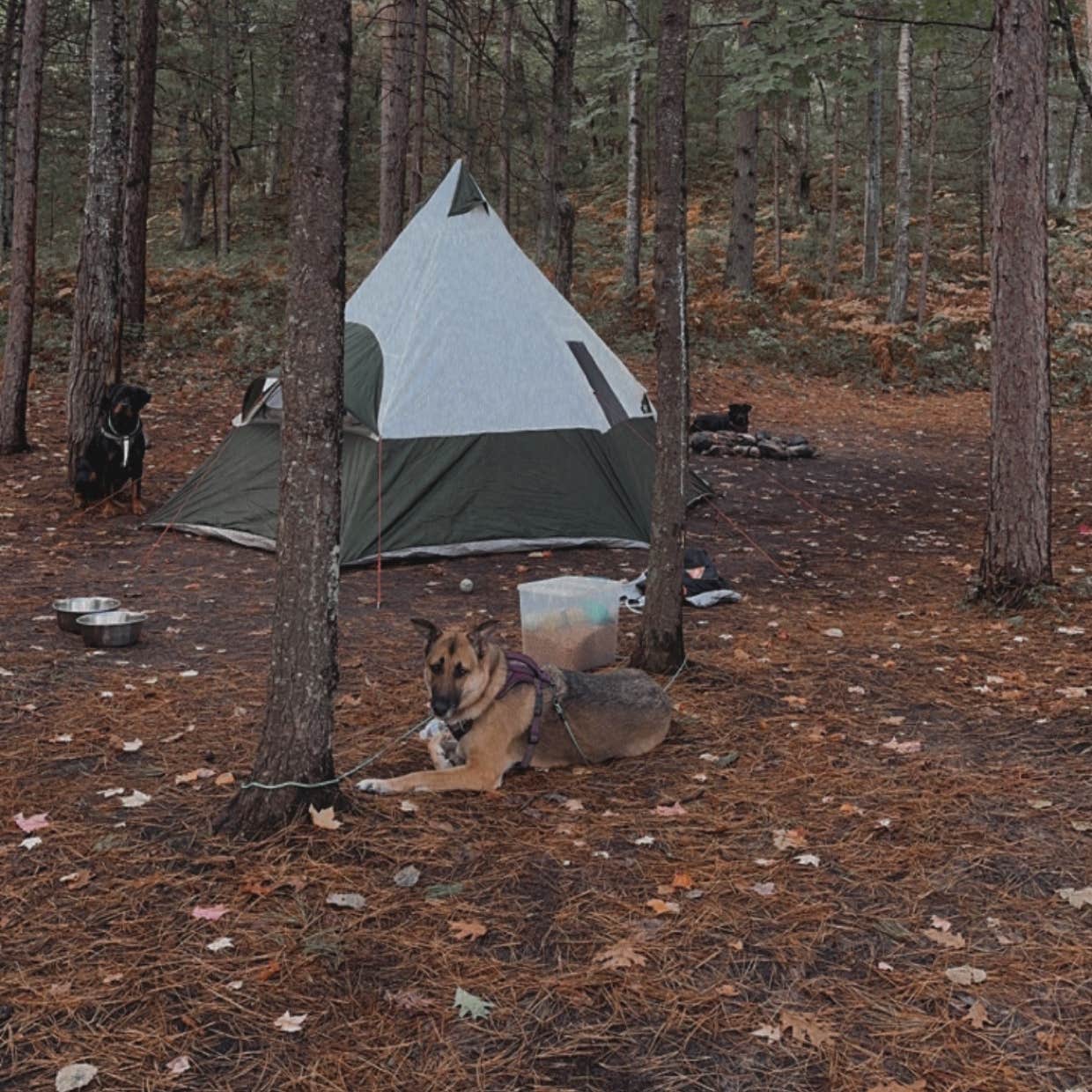 French Farm Lake Rd Camping | Mackinaw City, Michigan