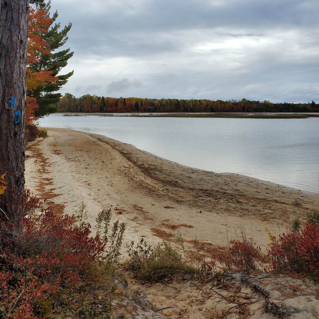 French Farm Lake Rd Camping | Mackinaw City, Michigan