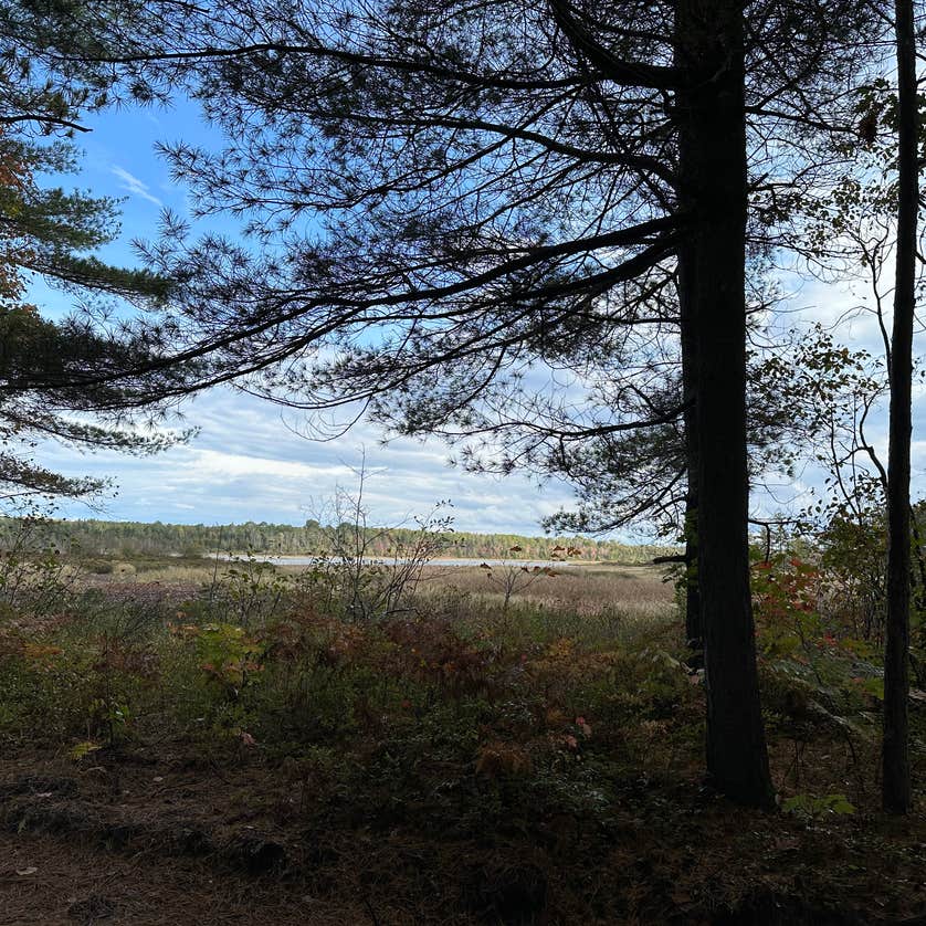 French Farm Lake Rd Camping | Wawatam Township, MI