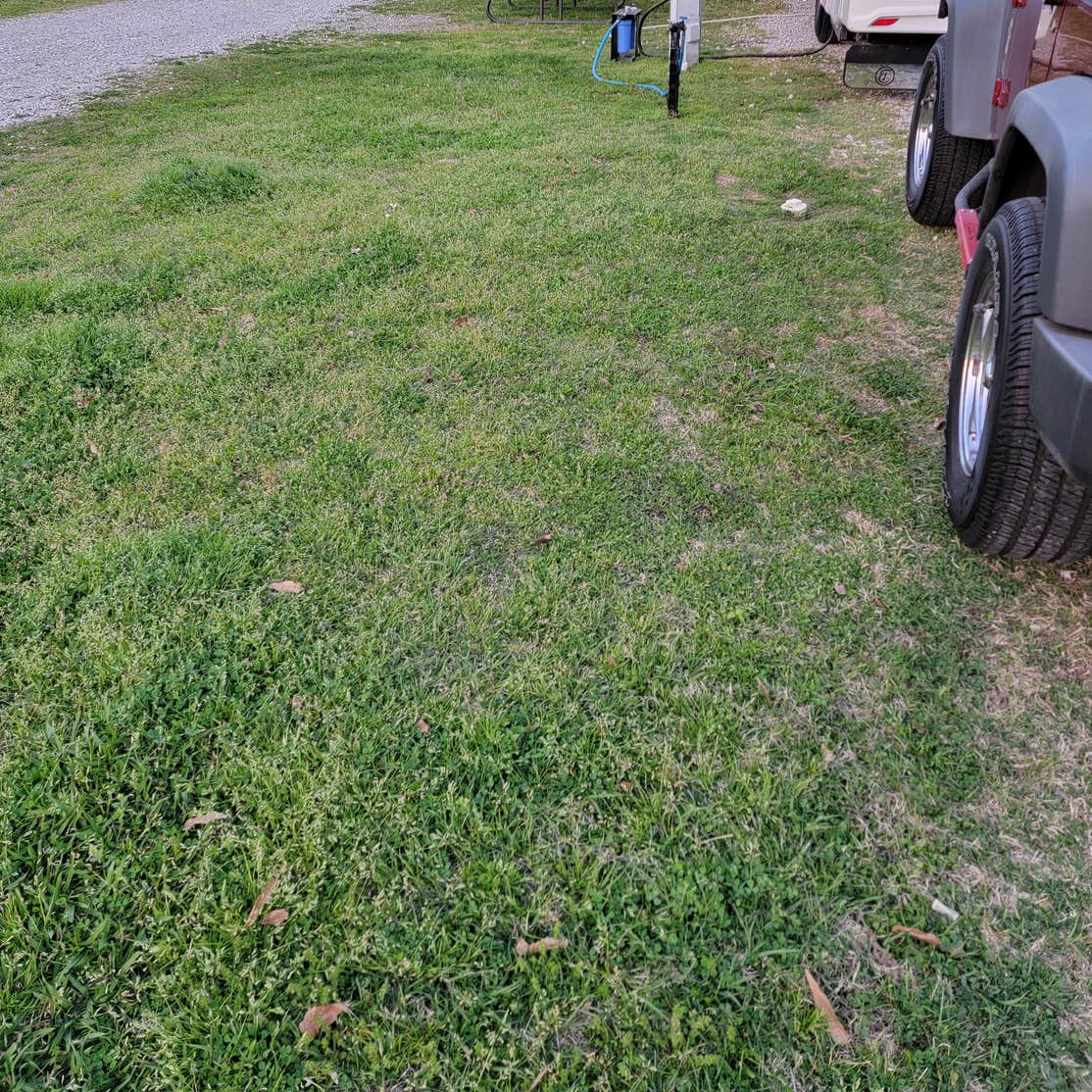 Frog City RV Park | Lafayette, Louisiana