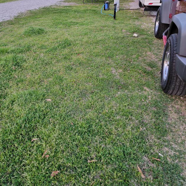 Frog City RV Park | Lafayette, Louisiana