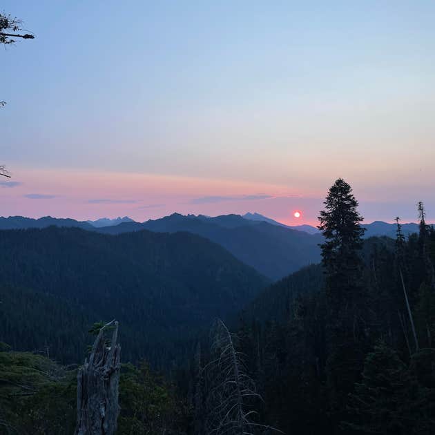 FS-2292 Dispersed Camping | Matlock, Washington