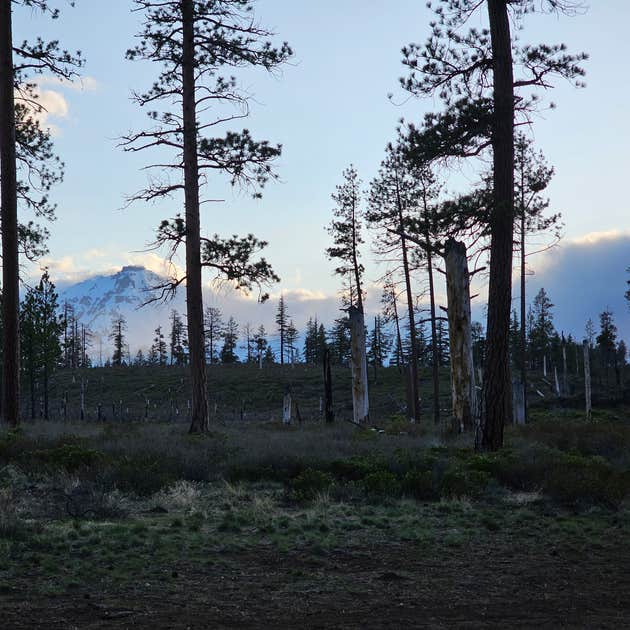 FS Rd 1514 Dispersed camping | Sisters, Oregon
