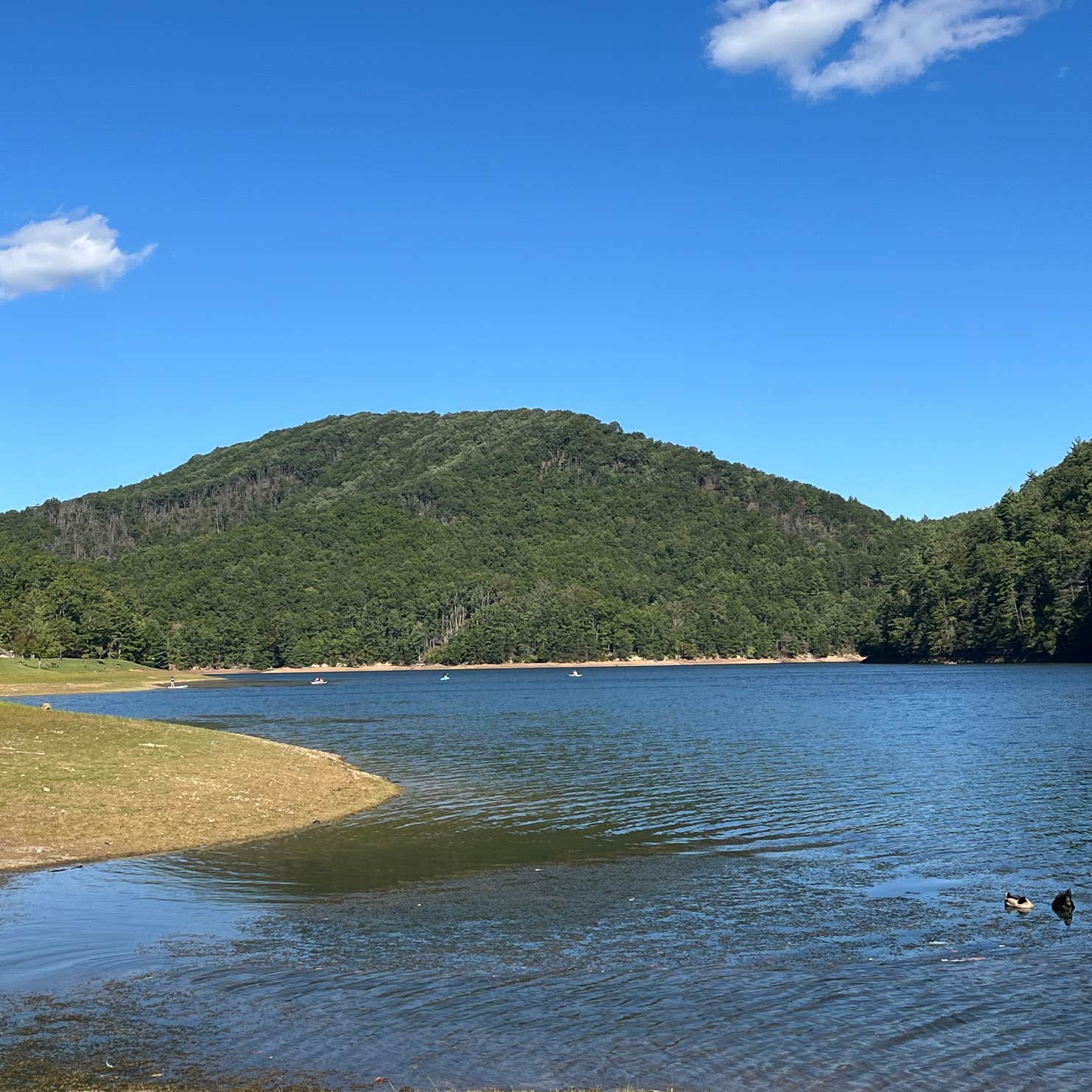 Gatewood Park & Reservoir Campground | Pulaski, Virginia