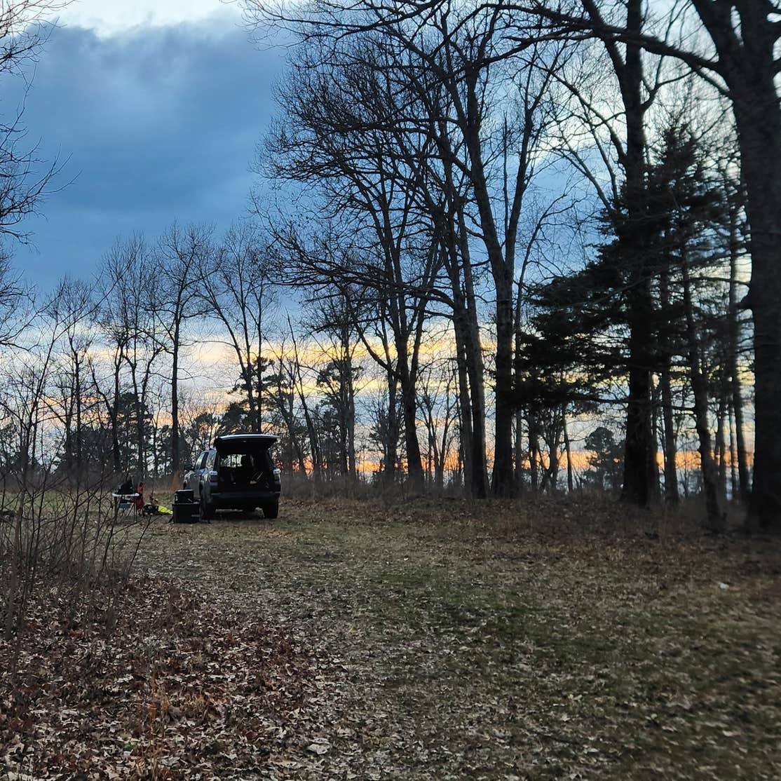Gene Rush Wildlife Management Area Camping | Vendor, Arkansas