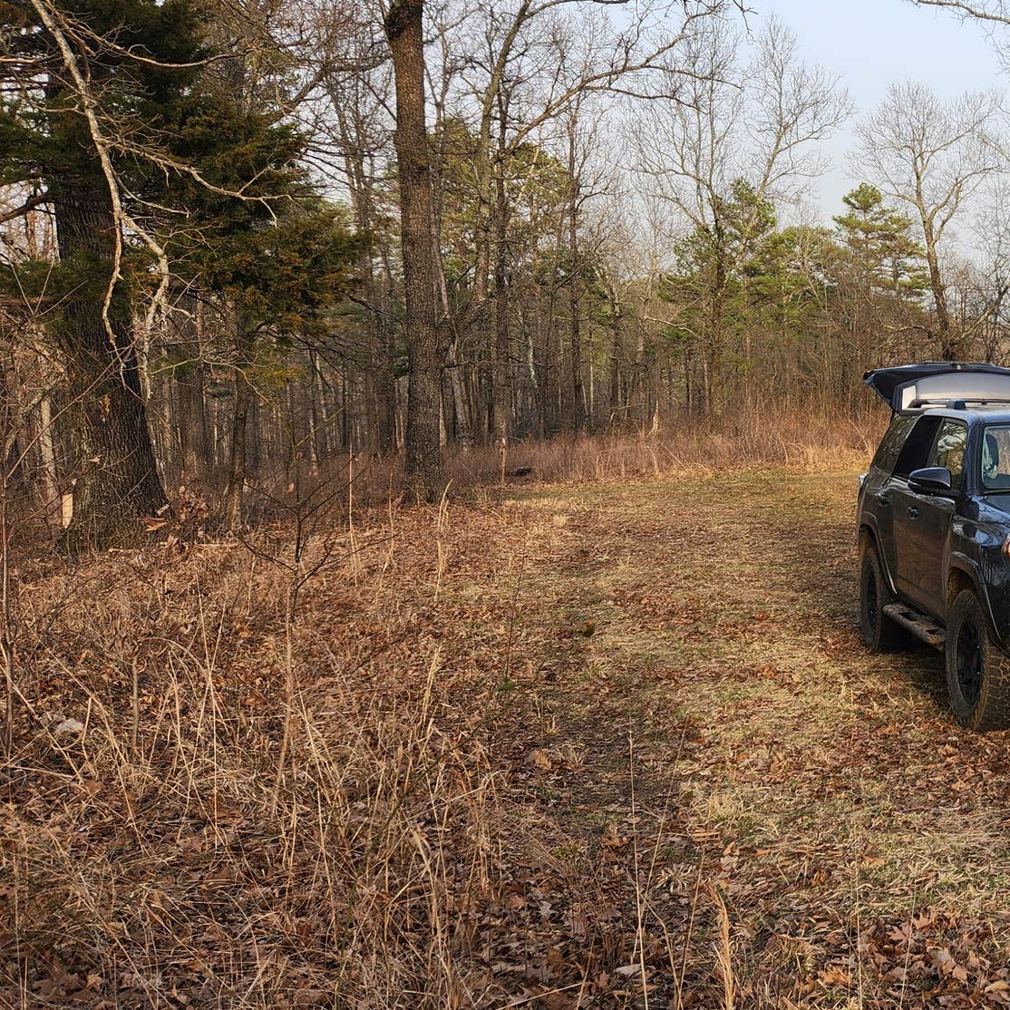 Gene Rush Wildlife Management Area Camping | Vendor, Arkansas