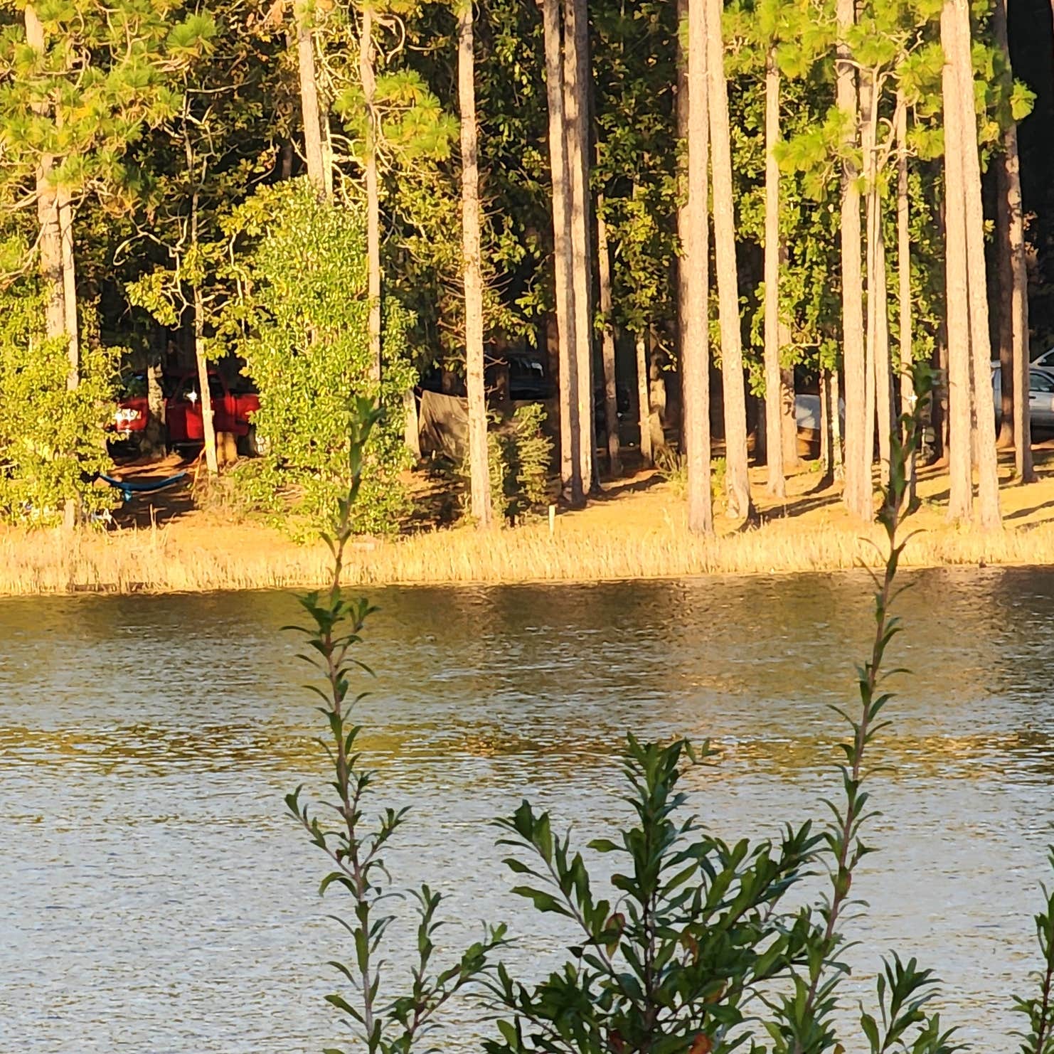 Geneva State Lake Camping | Kinston, Alabama