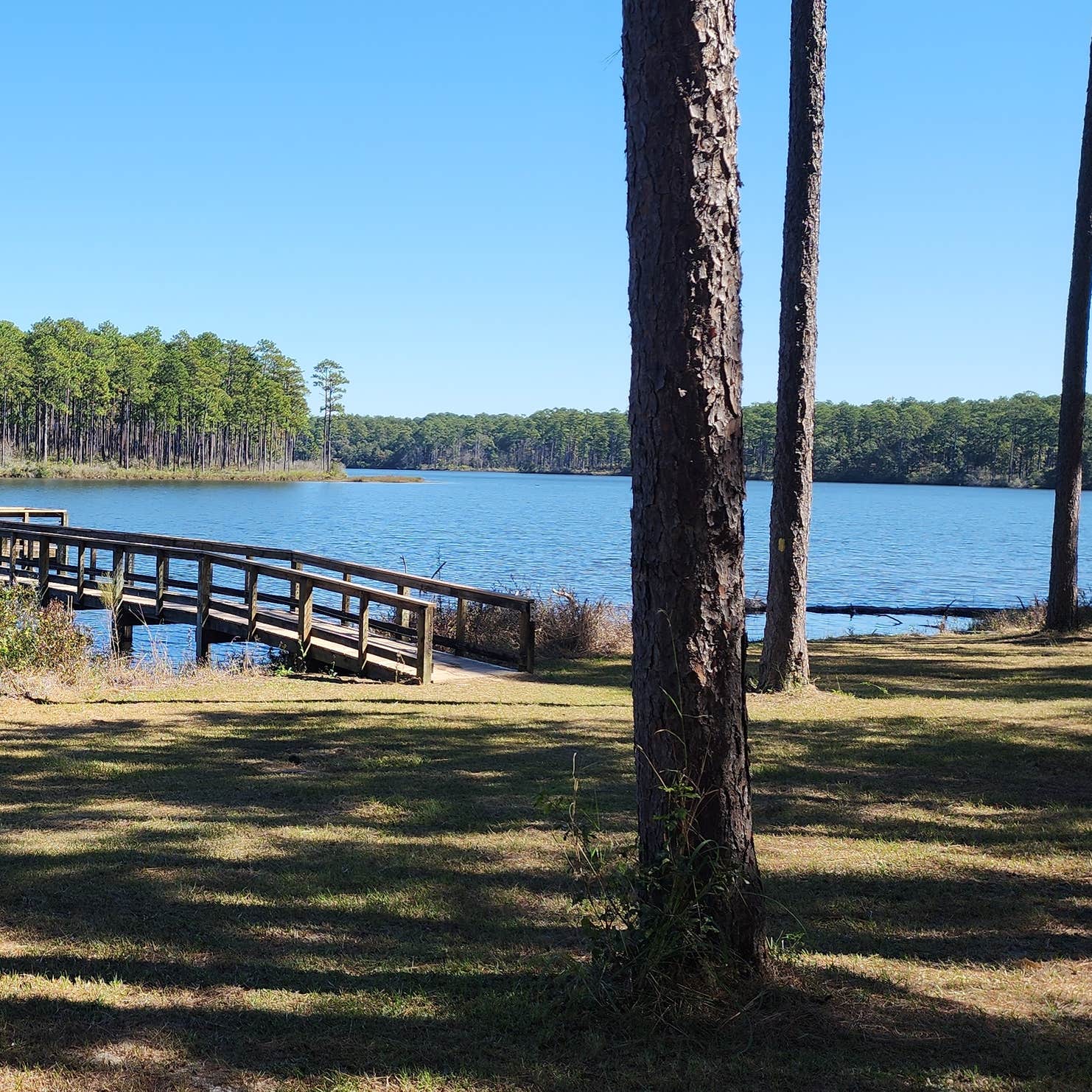 Geneva State Lake Camping | Kinston, AL