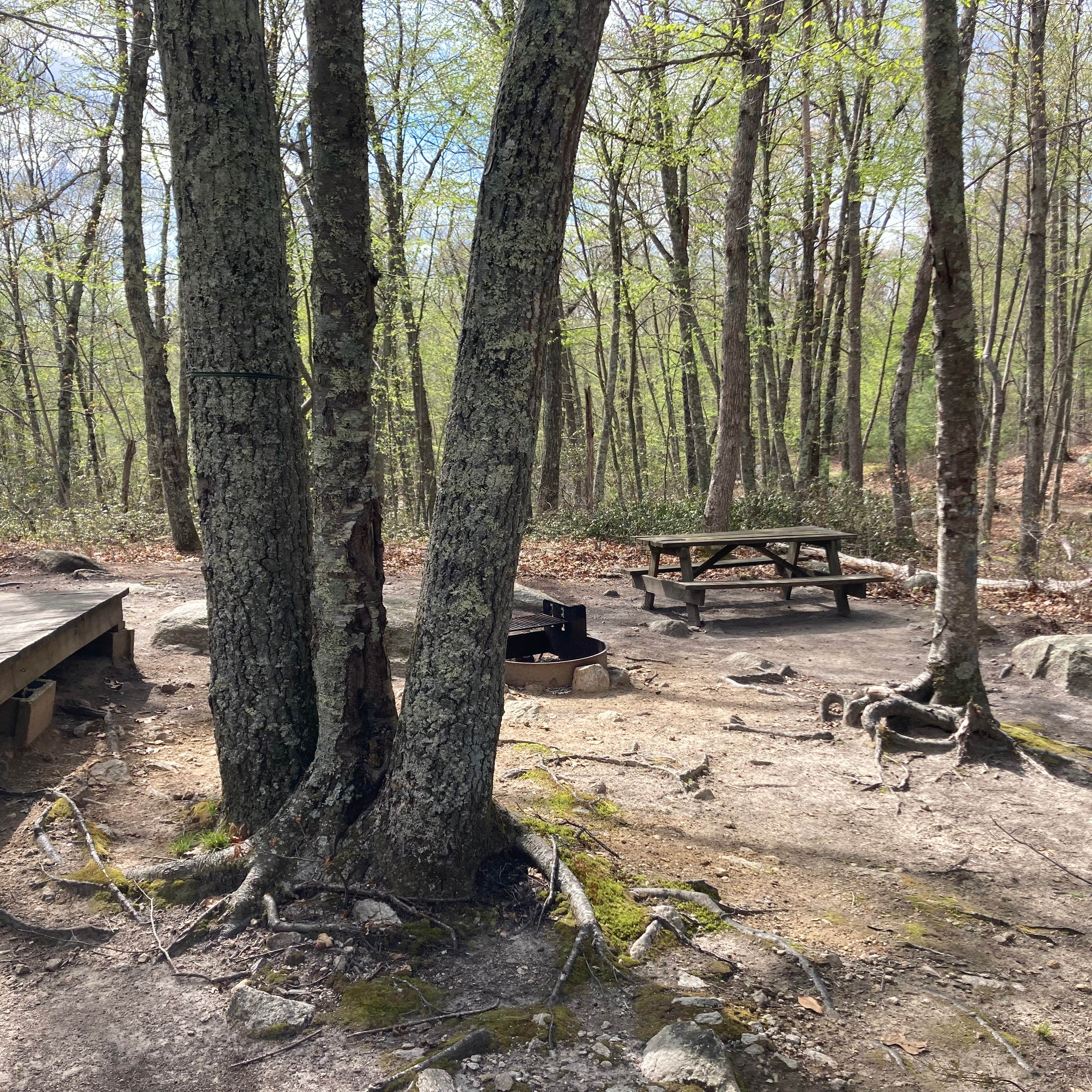 George Washington State Campground | Pascoag, Rhode Island