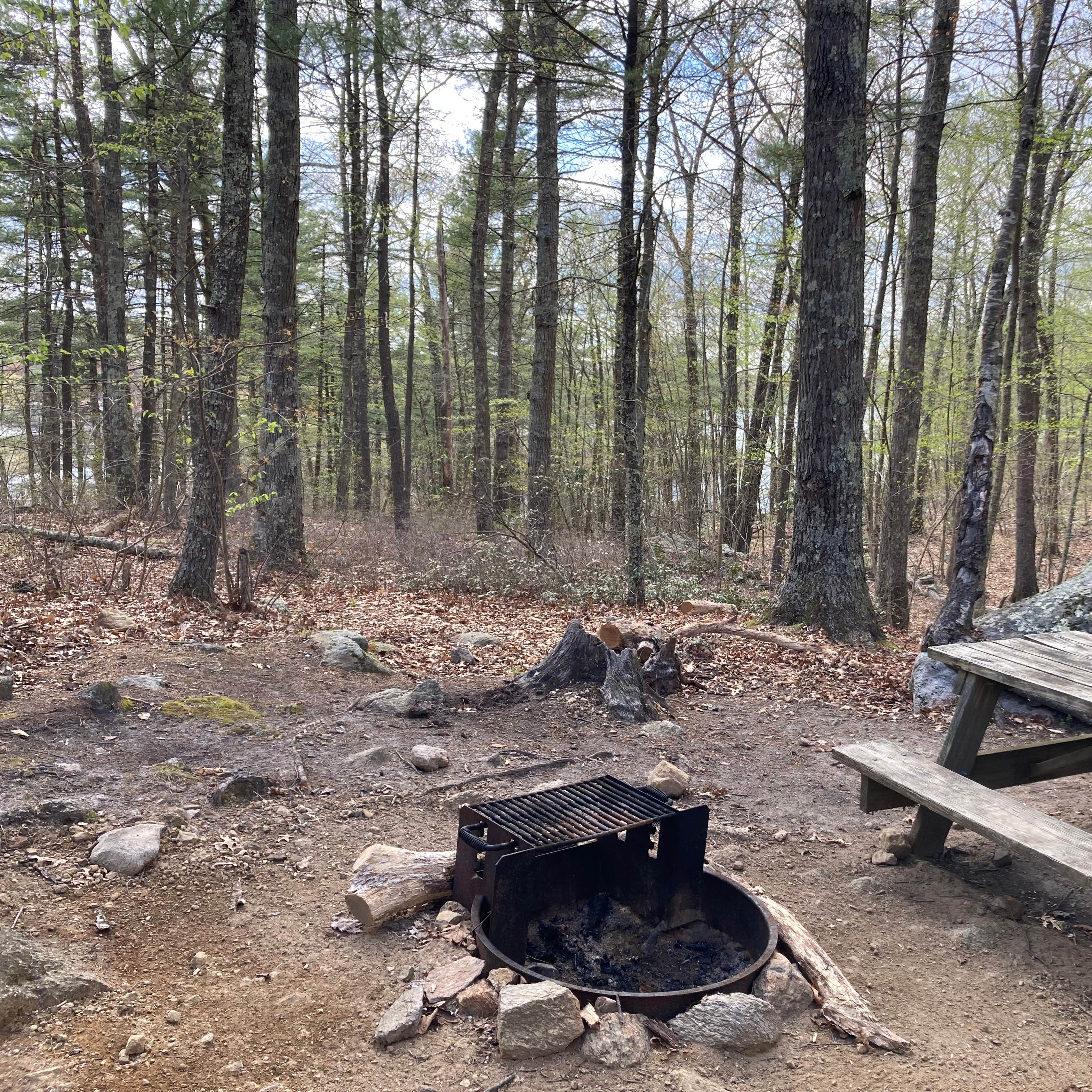 George Washington State Campground | Pascoag, Rhode Island
