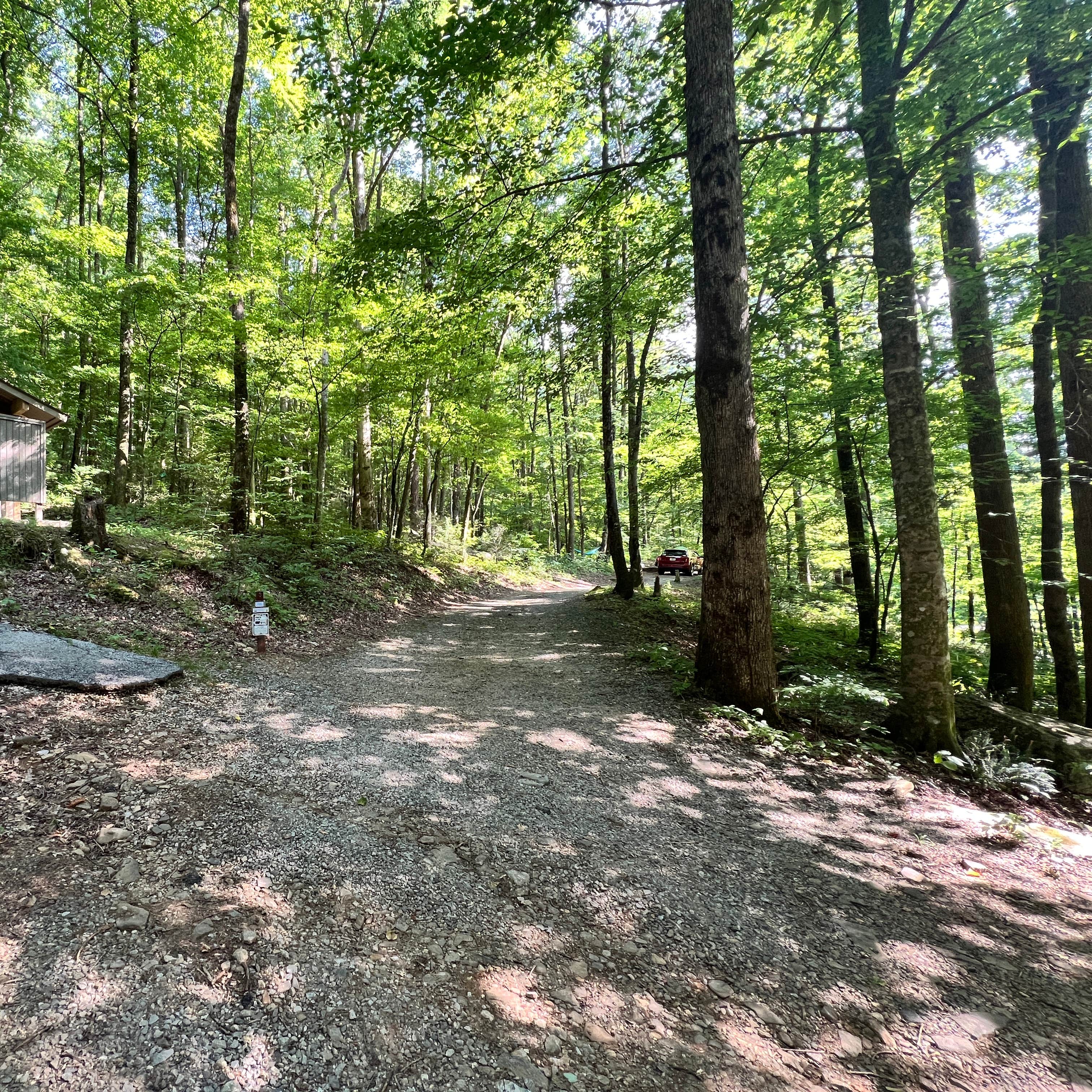 Andrew's Cove Campground — Chattahoochee Oconee National Forest | Helen, GA