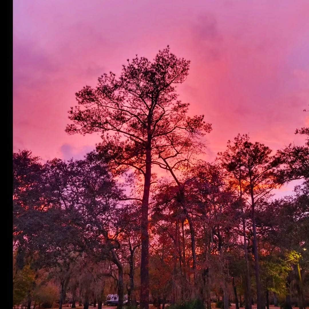 Barrington County Park - TEMPORARILY CLOSED Camping | Townsend, Georgia