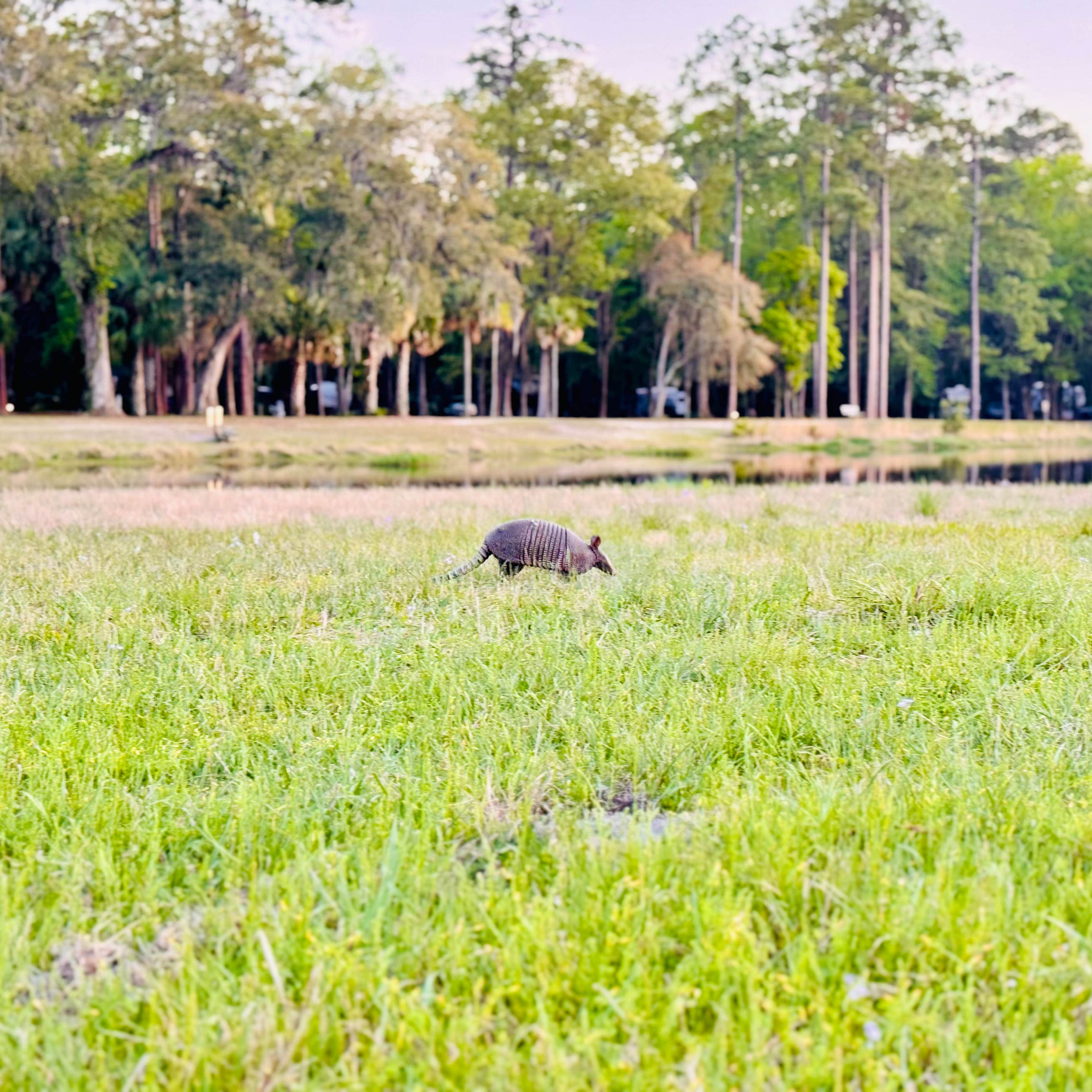 Blythe Island Regional Park Camping | Brunswick, Georgia